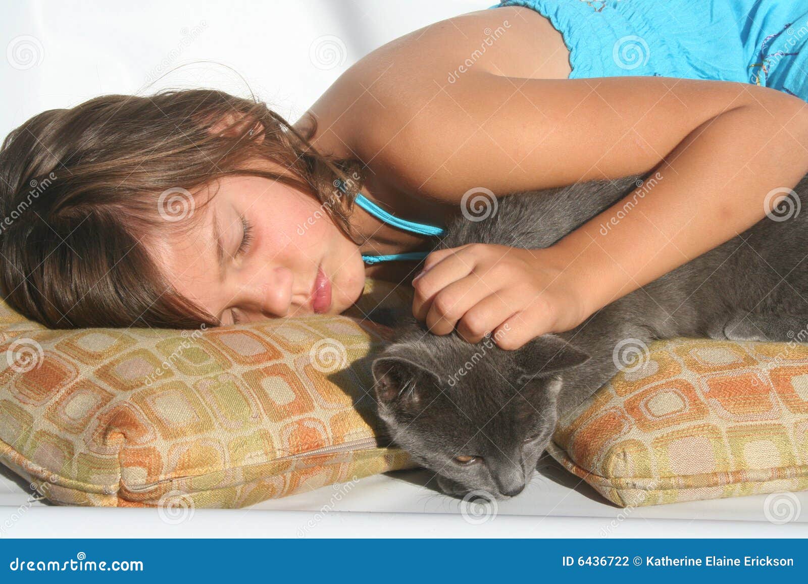 Cat Nap stock photo. Image of cuddly, youth, child, companion - 6436722