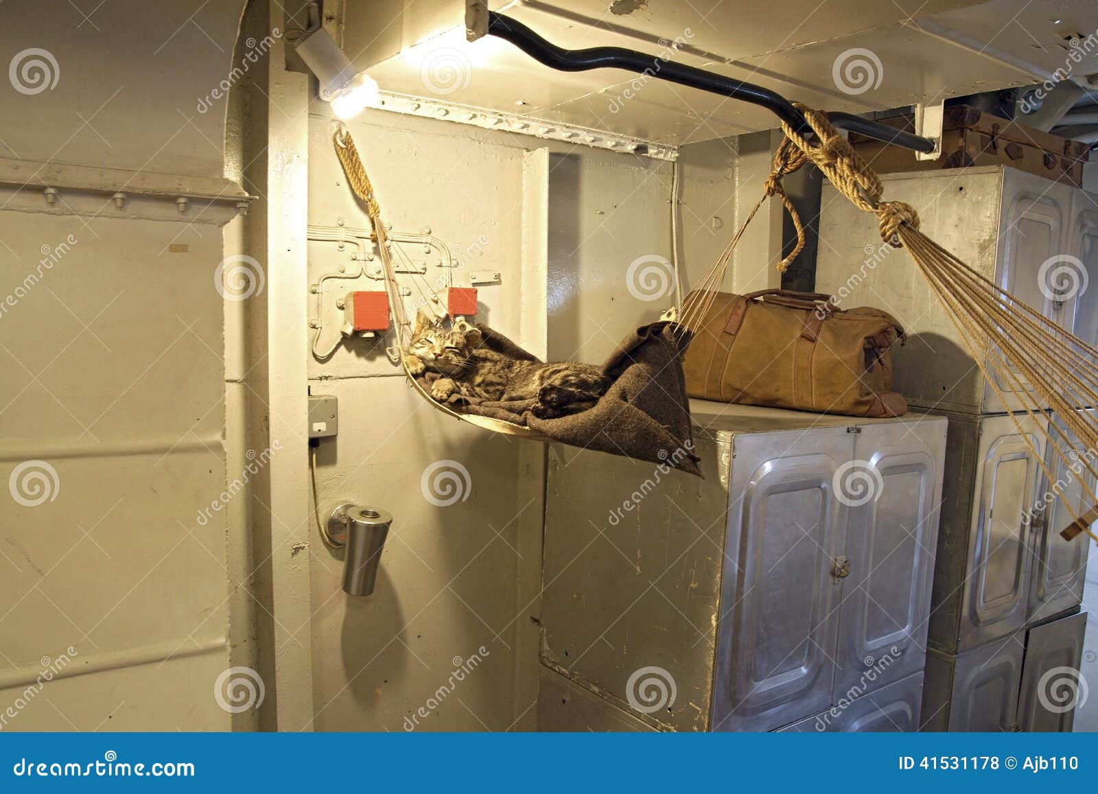 Cat nap editorial stock photo. Image of battleship, belfast - 41531178