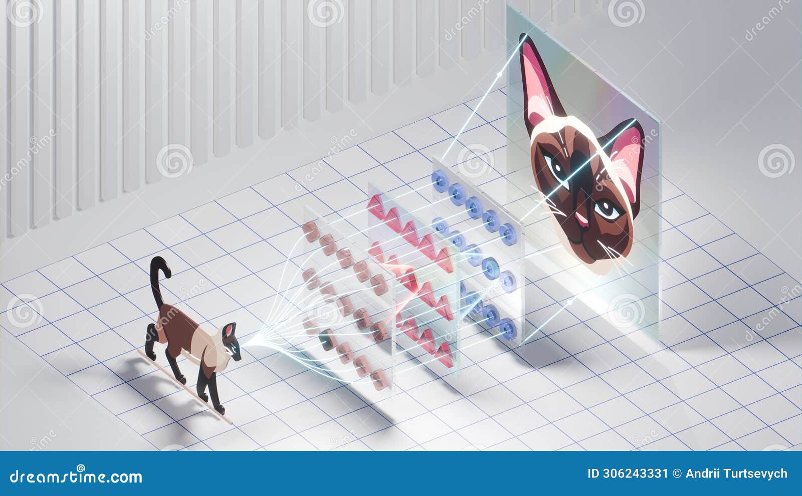 Cat and Neural Network: Visualization of Image Recognition Process, 3D ...