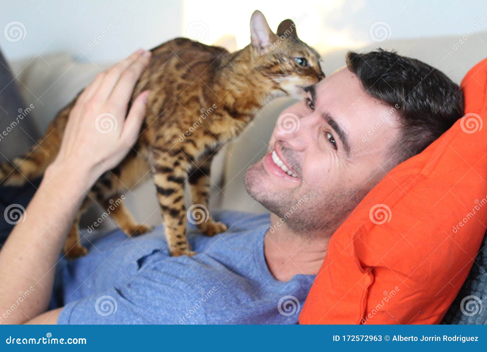 Cat and Owner Bonding at Home Stock Image - Image of adult, domestic ...