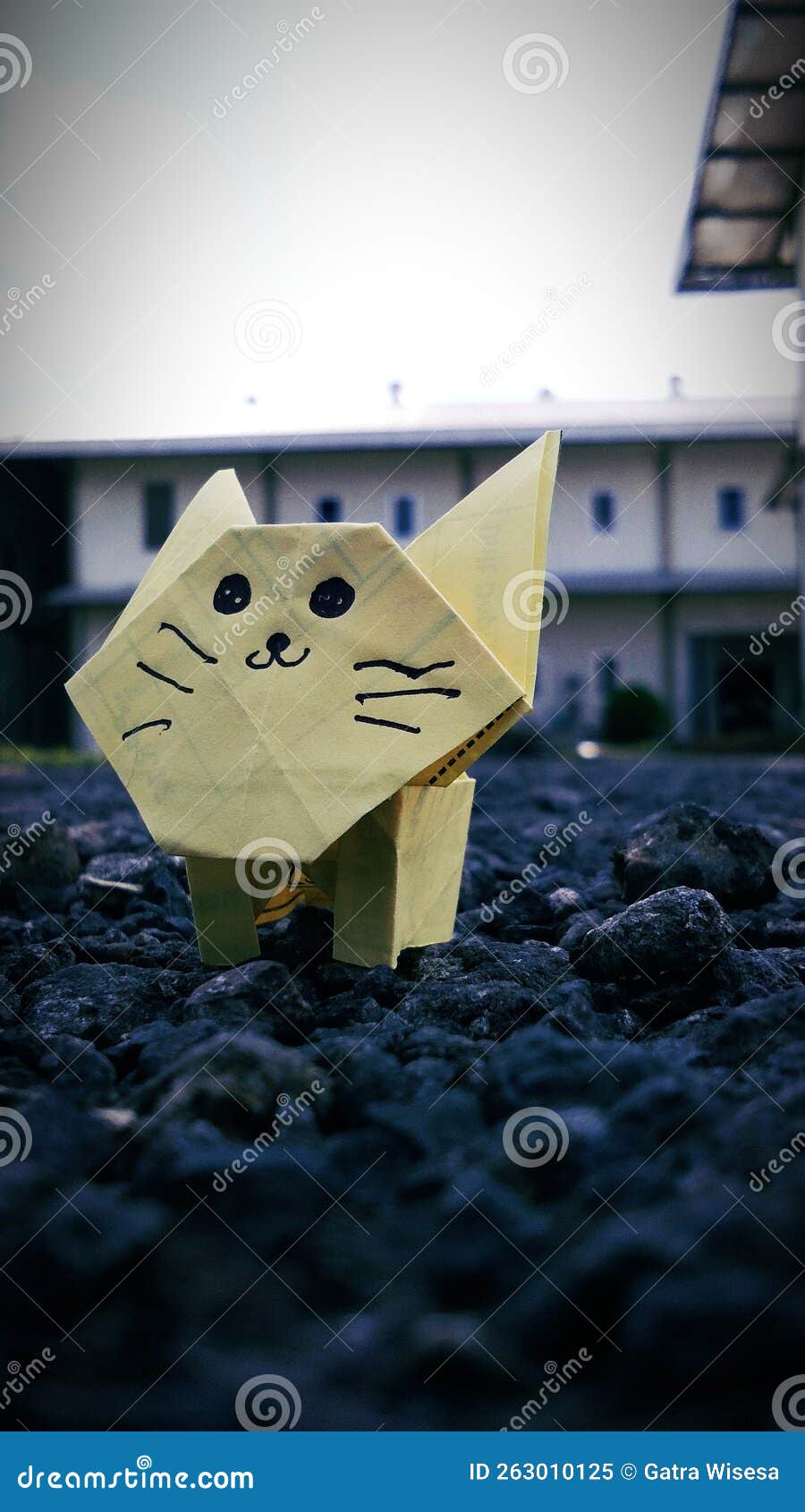 Cat papper stock image. Image of walk, papper, smile - 263010125