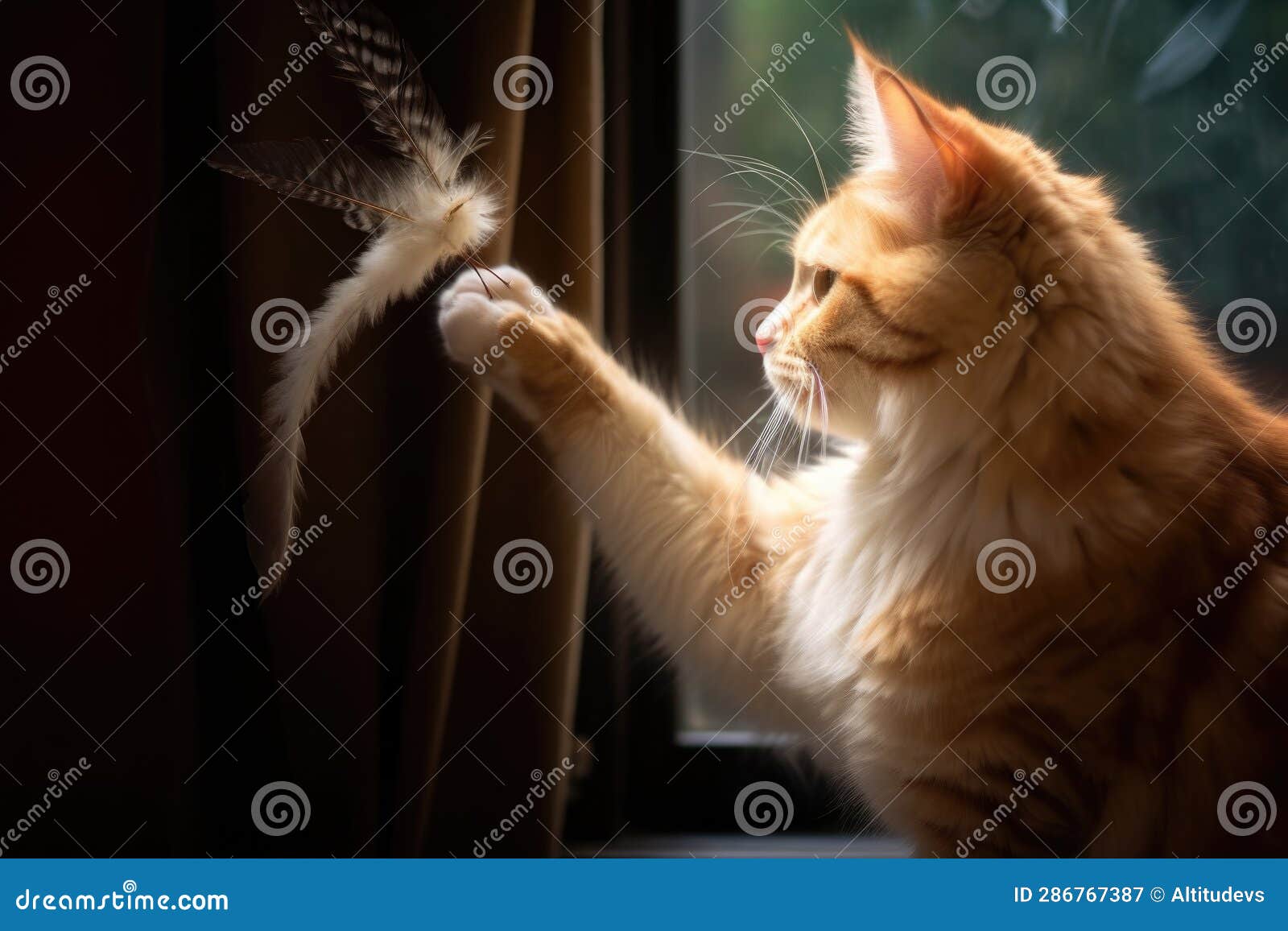 Cat Paw Reaching for a Birds Tail Feather Stock Image - Image of ...