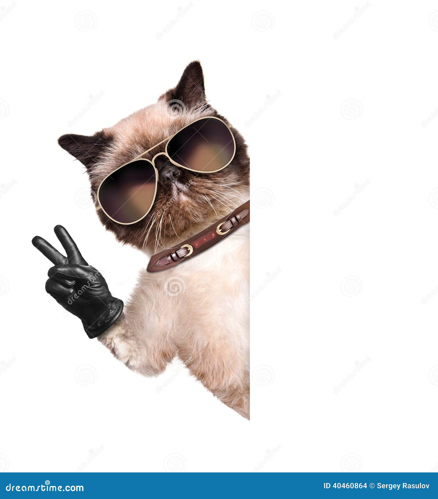Cat Peace Sign Illustration Of A Cat Making A Peace Sign With...