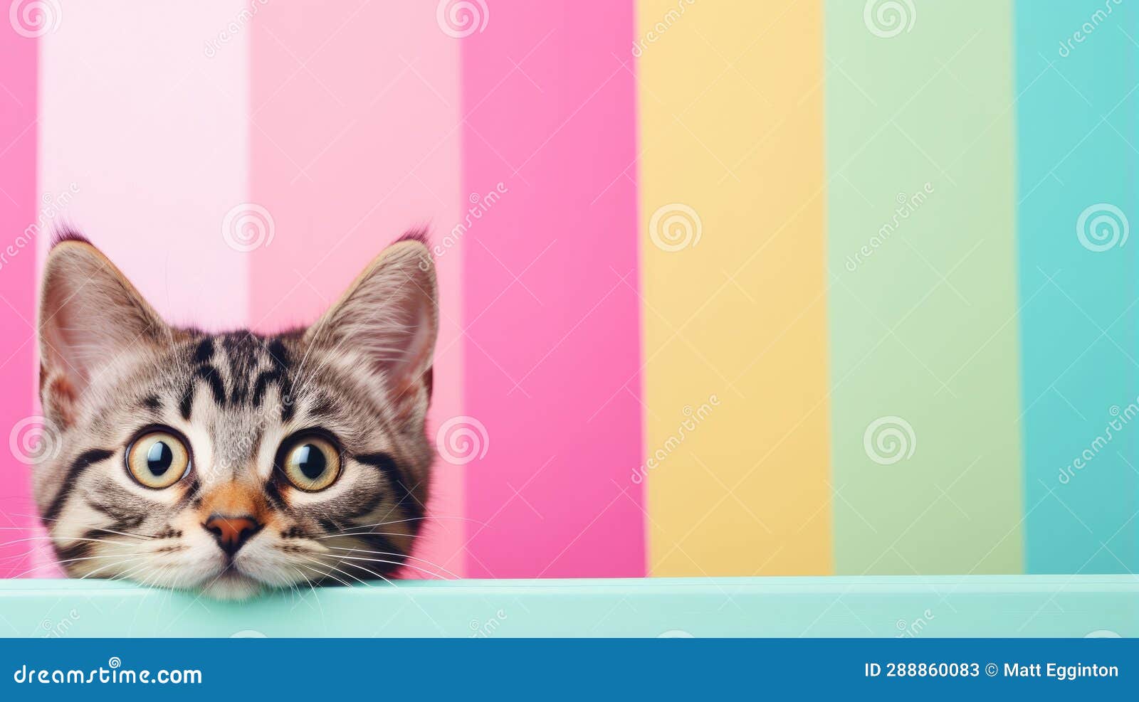 A Curious Cat Peering Over a Table Edge Stock Illustration ...