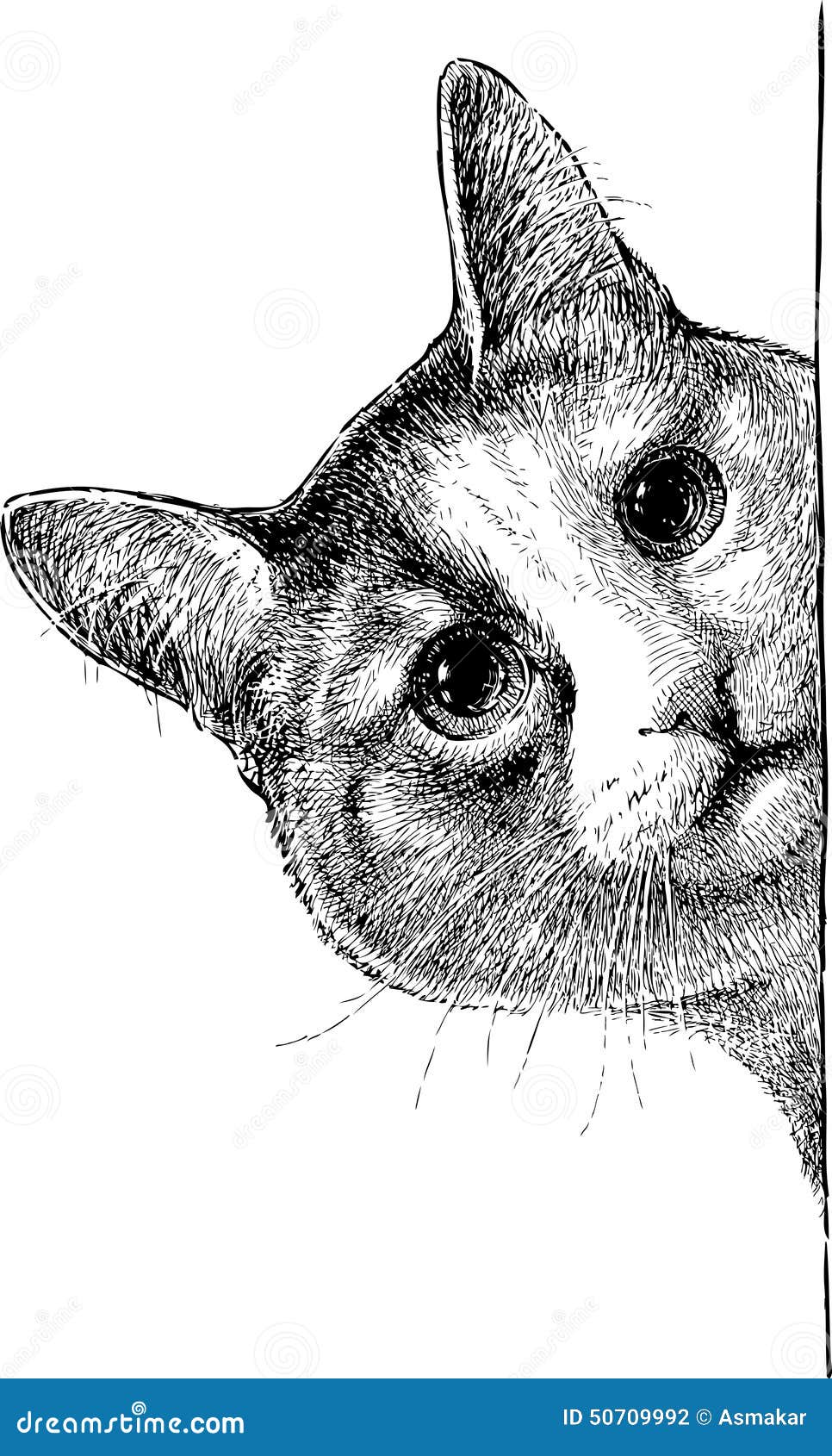 Cat peeping stock vector. Illustration of watching, peeping - 50709992