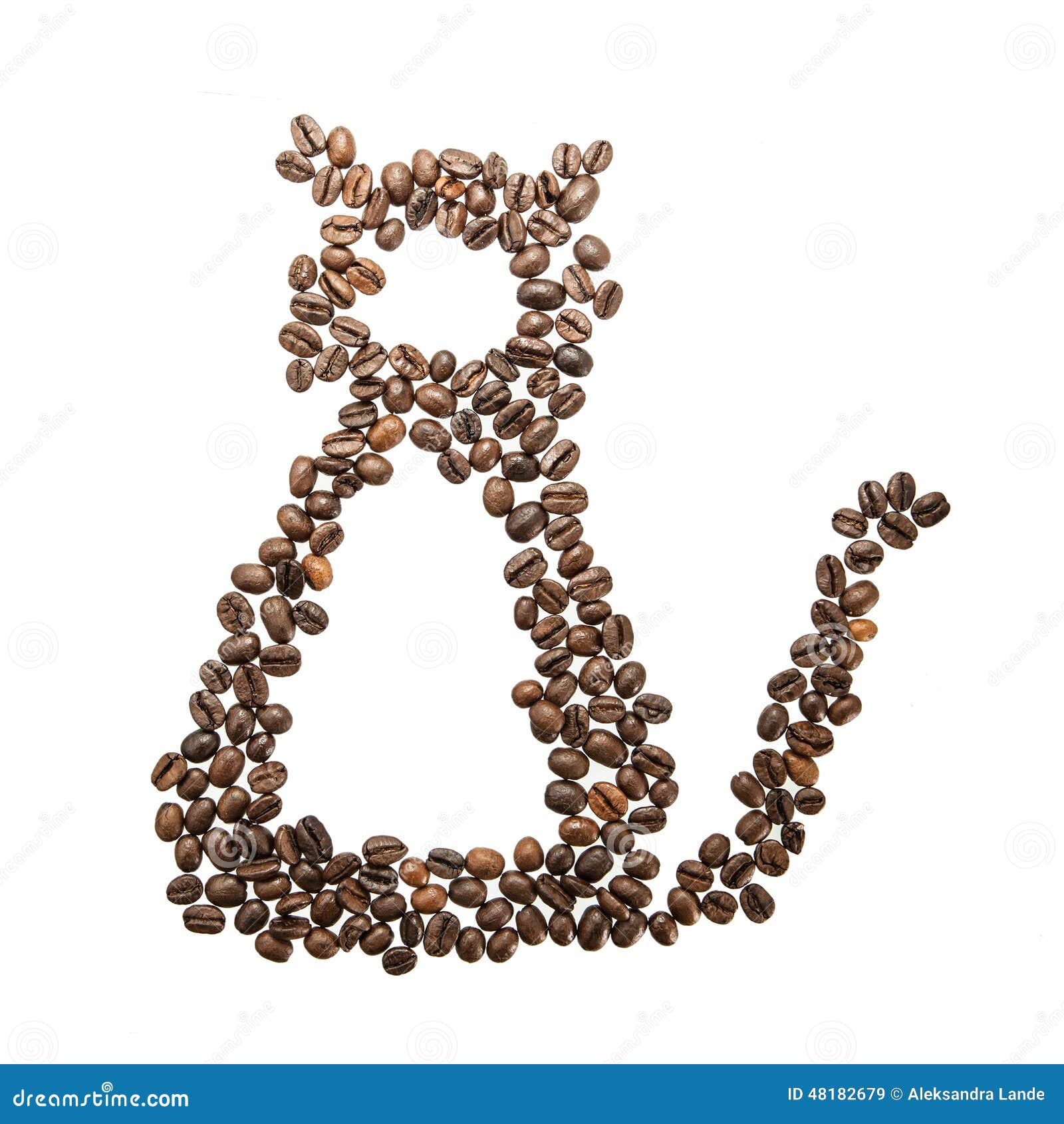 Cat Picture of Coffee Beans Stock Image - Image of bean, descriptive ...