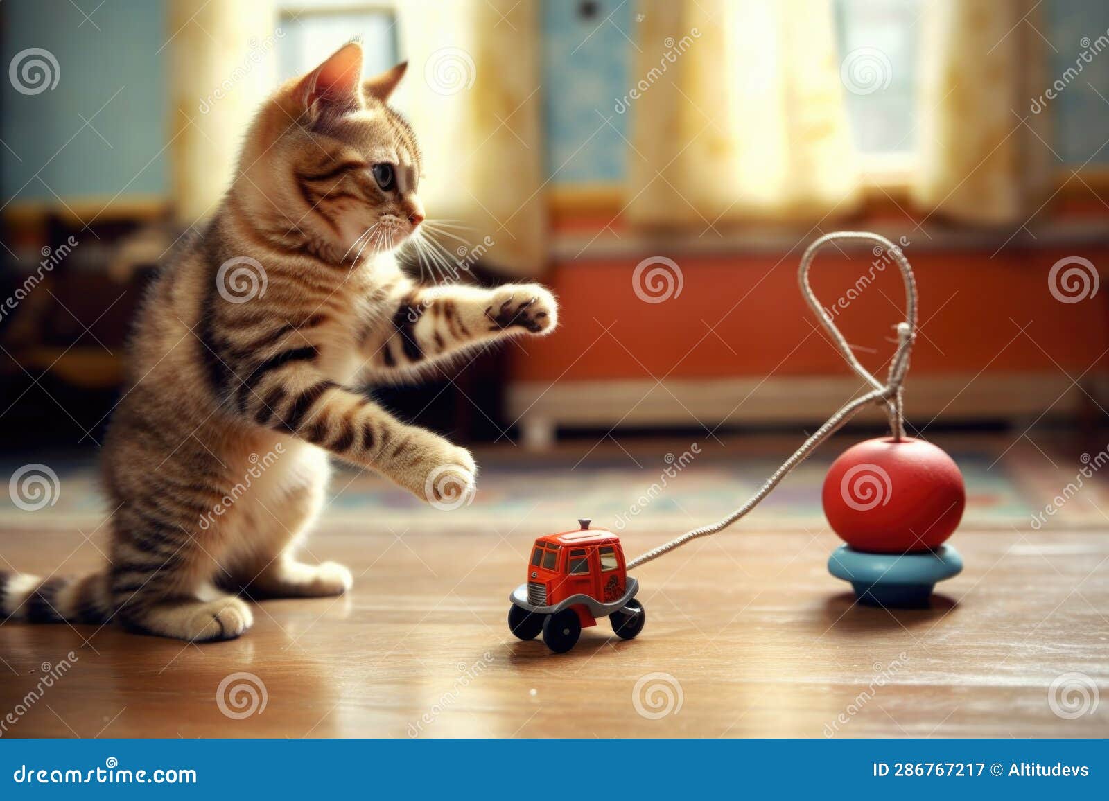 Cat Playfully Chasing a Wind-up Toy Mouse Stock Image - Image of ...