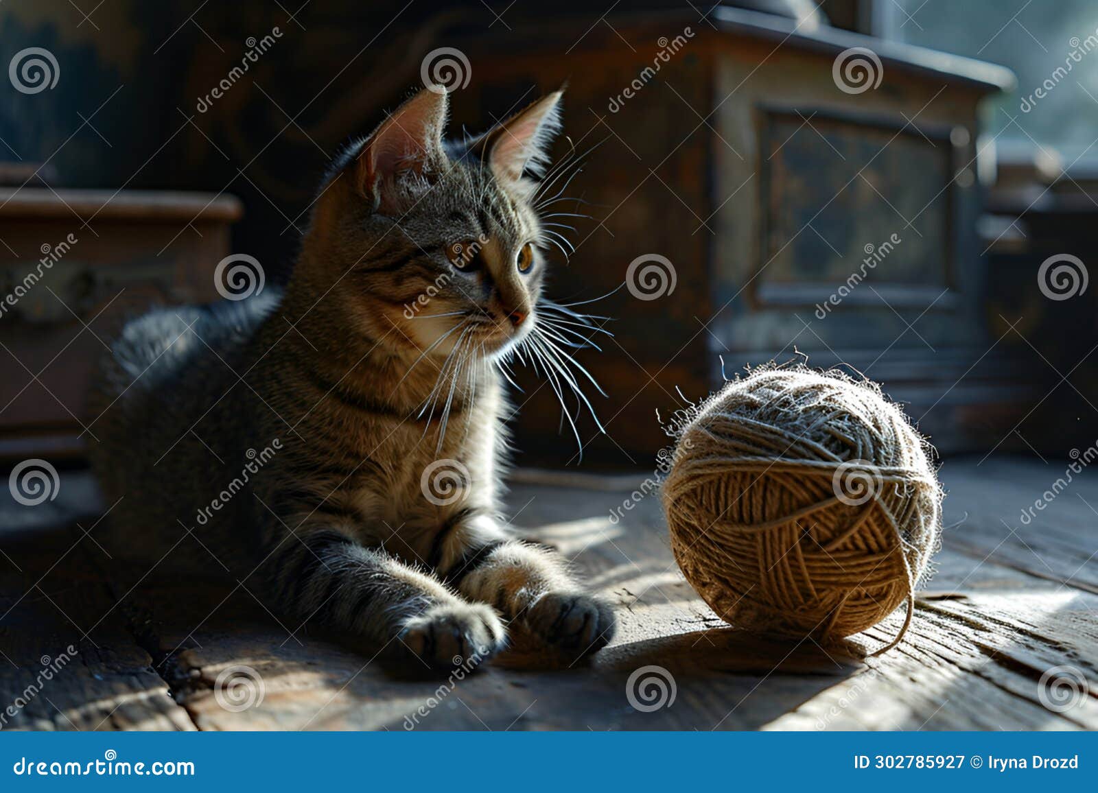Cat Playing with Balls of Thread , Natural Animals Stock Illustration ...