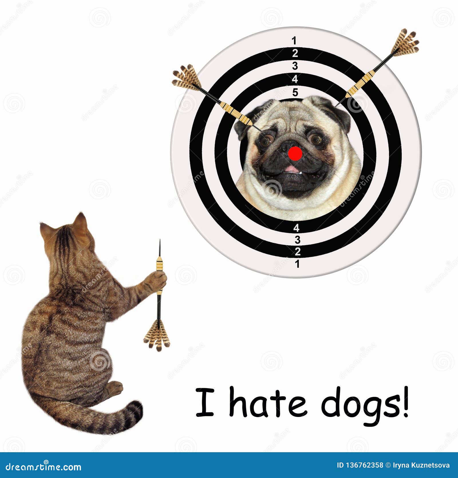 Can You Bring Your Dog On The Dart