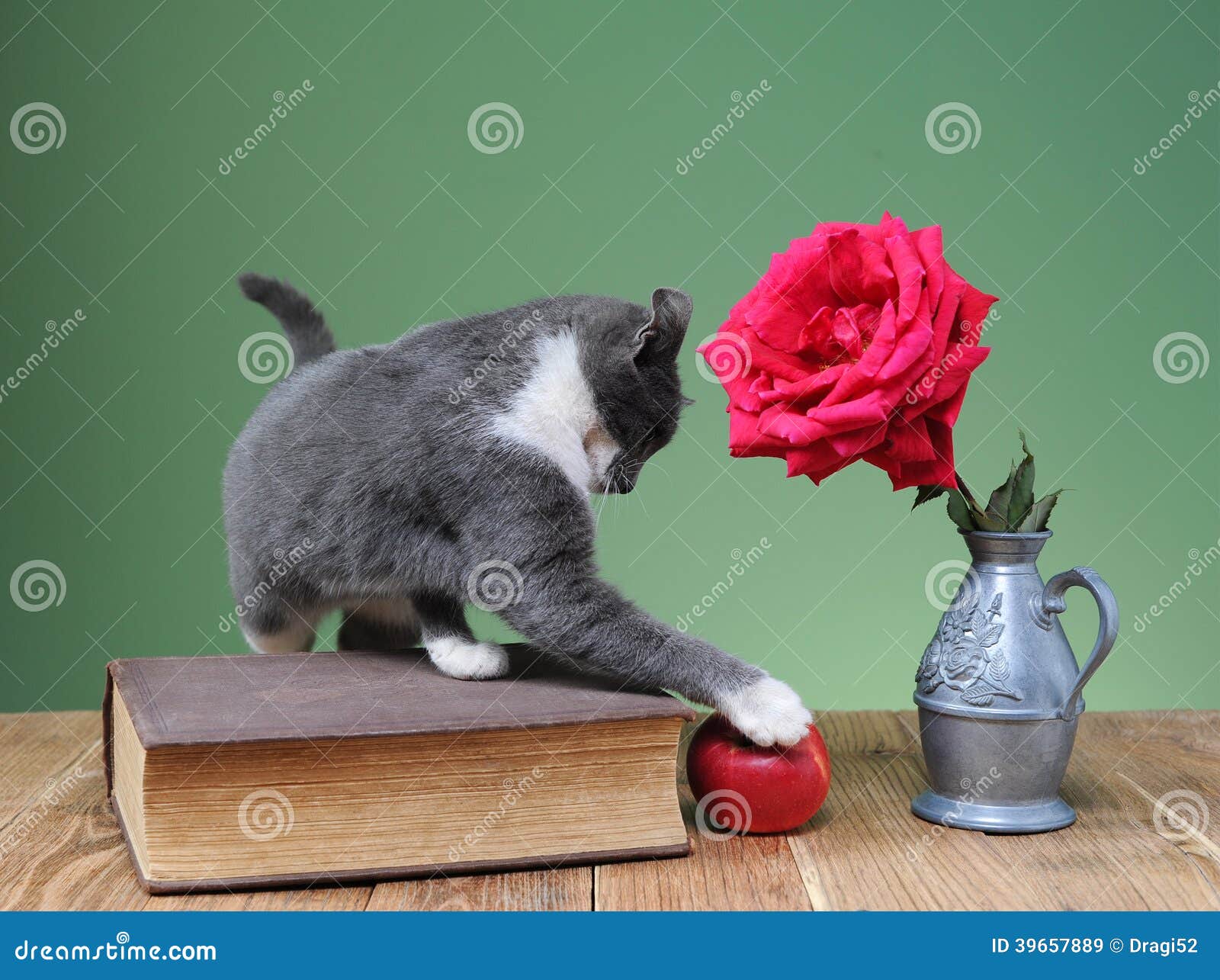 Cat Plays with an Apple and Flowers Stock Image - Image of book, lying ...