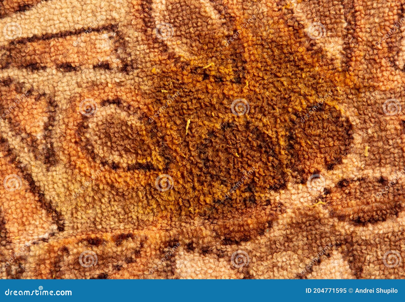 Cat Poop on the Carpet. Mud Stock Image - Image of vomit, carpet: 204771595