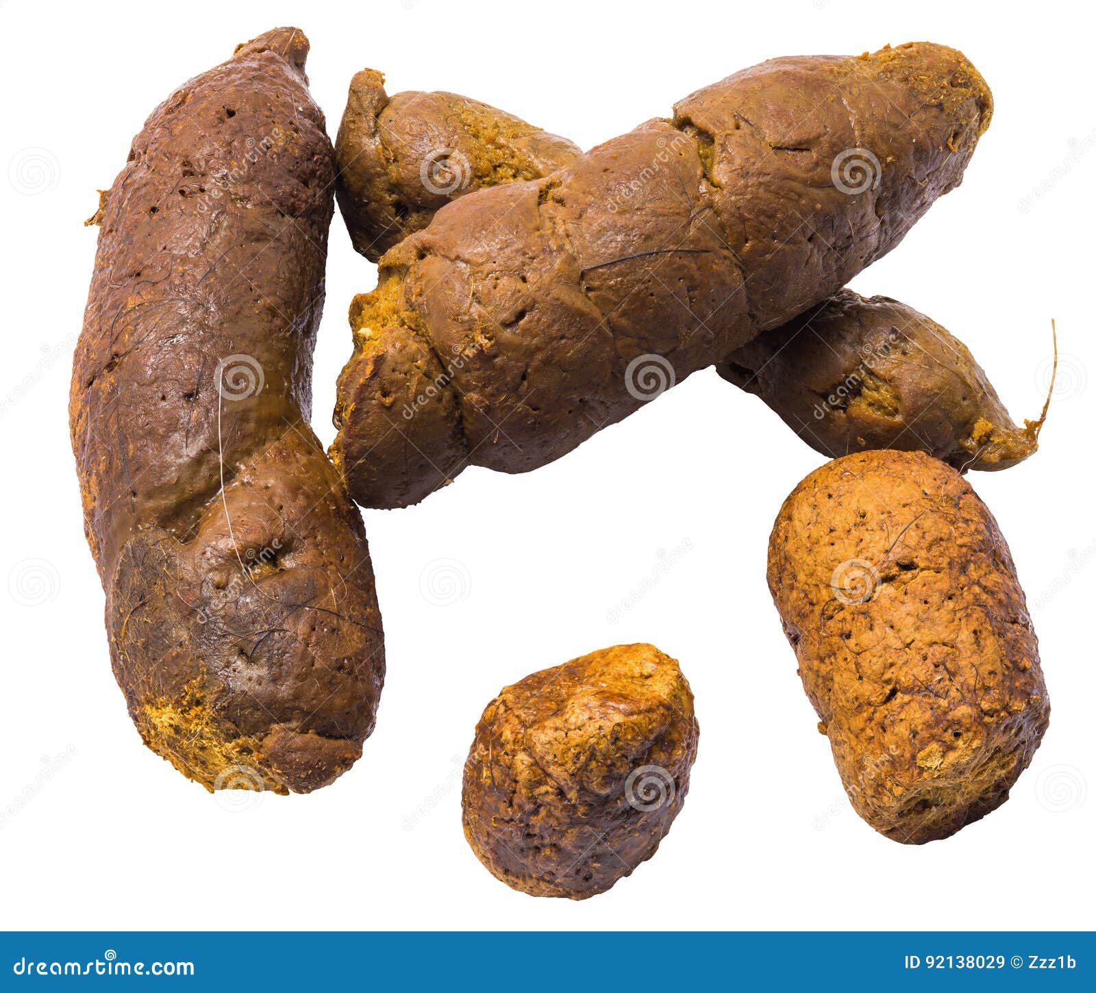 Cat poop isolated stock image. Image of disgusting, hairs - 92138029