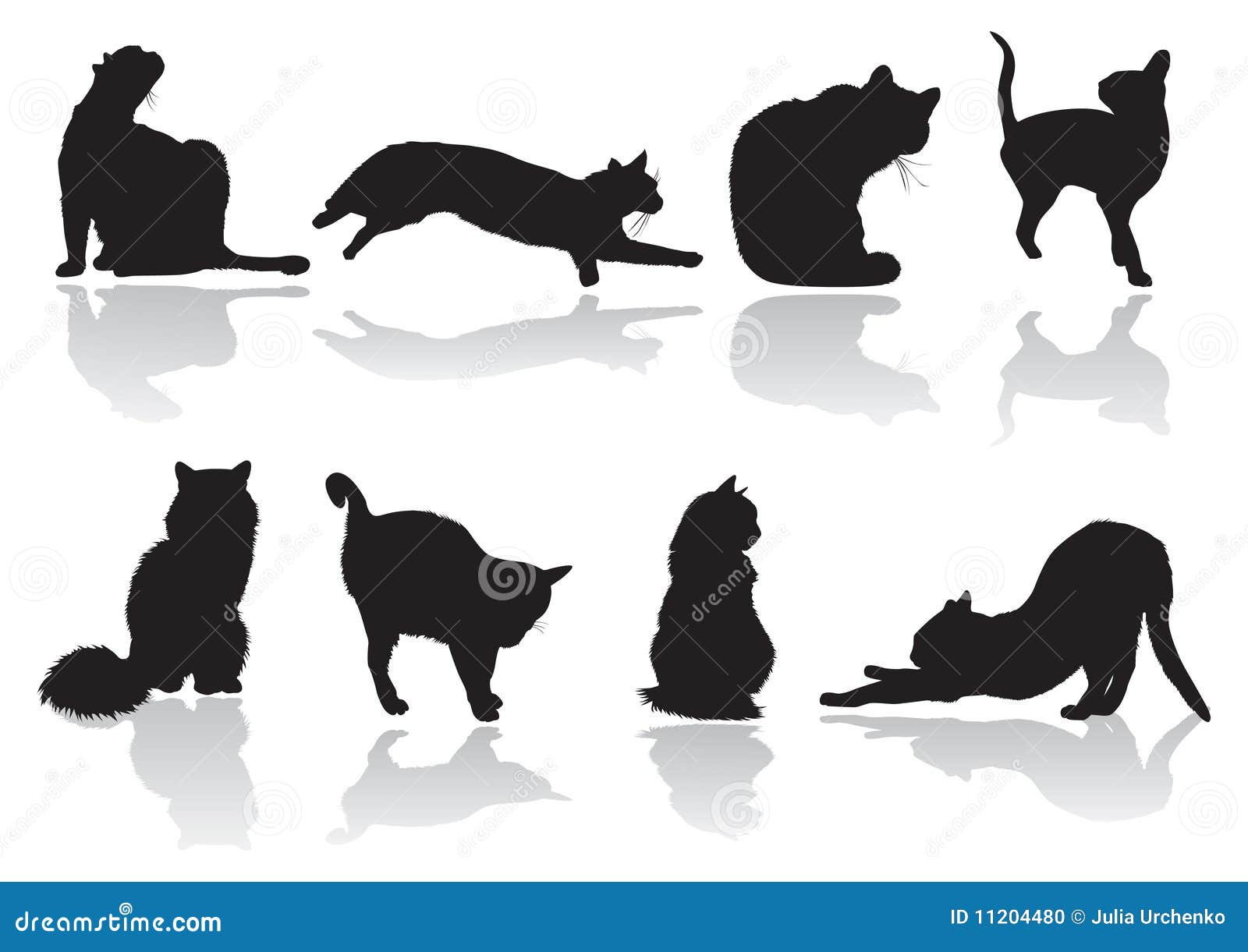 Cat pose stock vector. Illustration of graceful, animal - 11204480