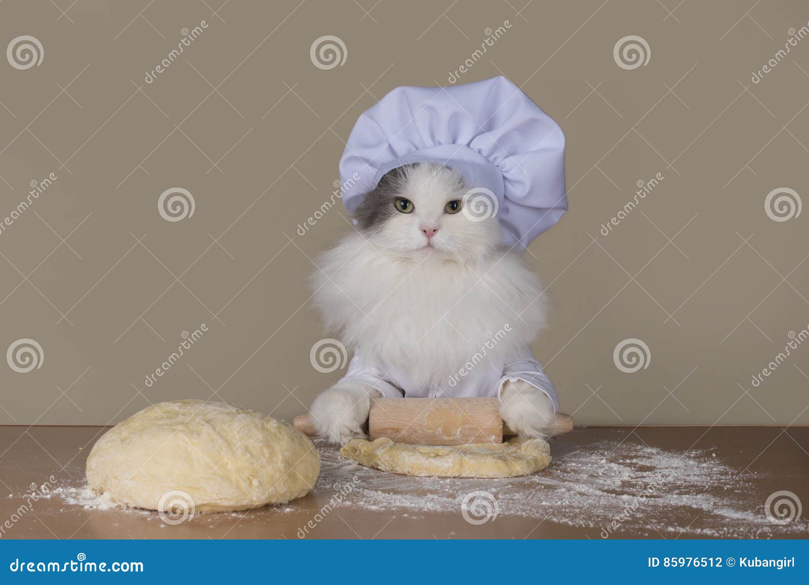 Cat Prepares the Dough for Baking Stock Photo - Image of chef, game ...