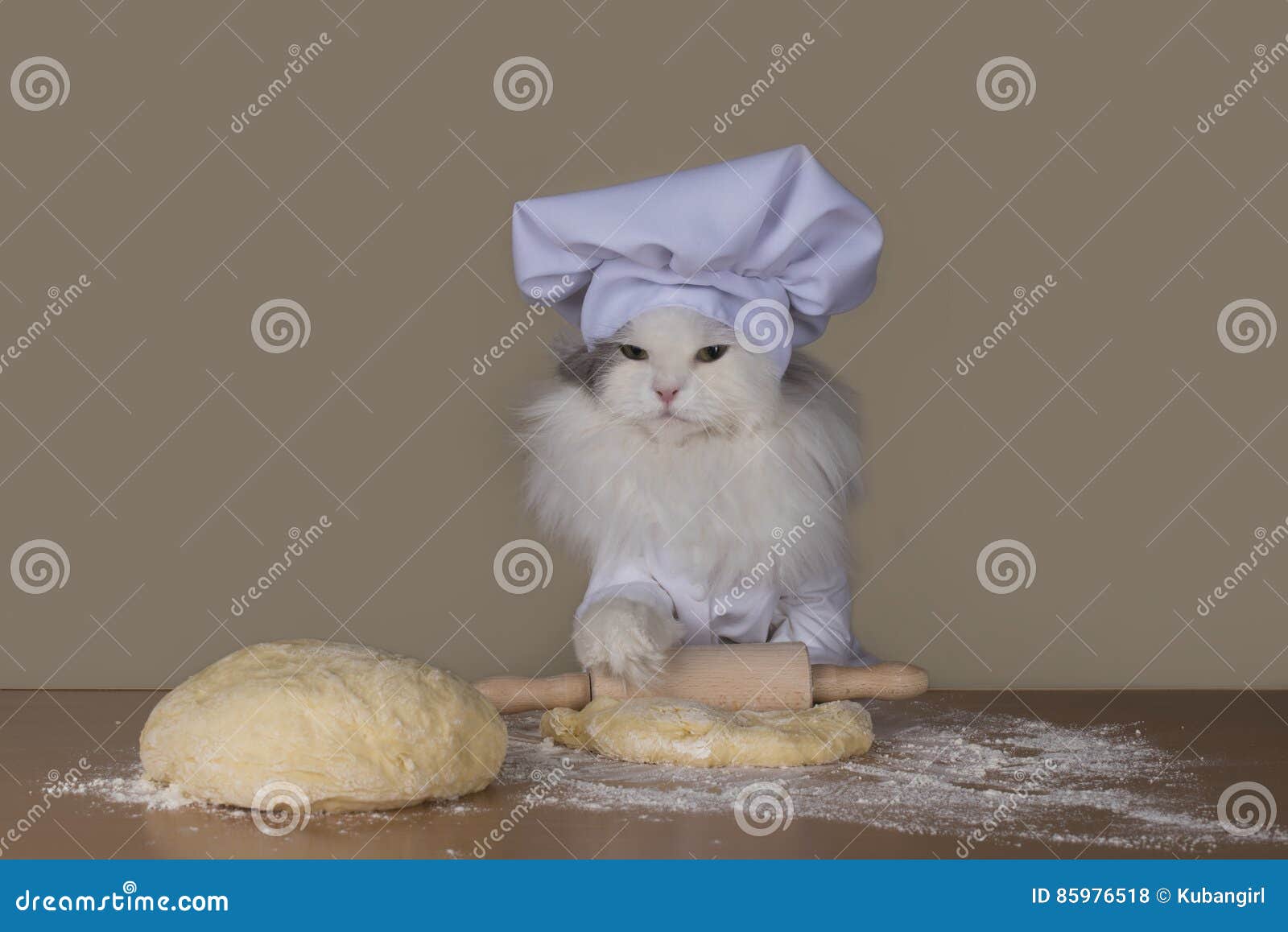 Cat Prepares the Dough for Baking Stock Photo - Image of baker ...