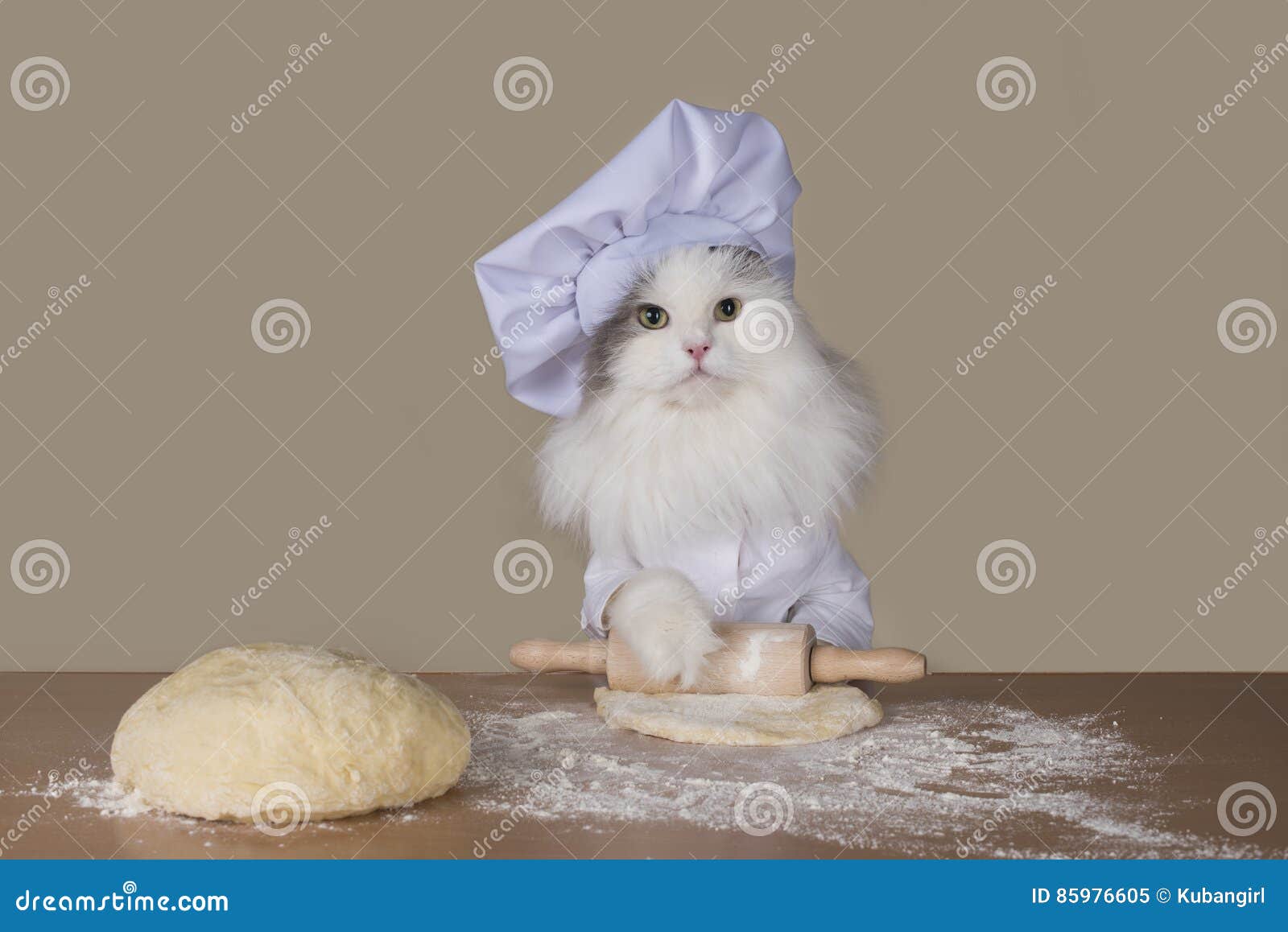 Cat Prepares the Dough for Baking. Stock Image - Image of game, home ...