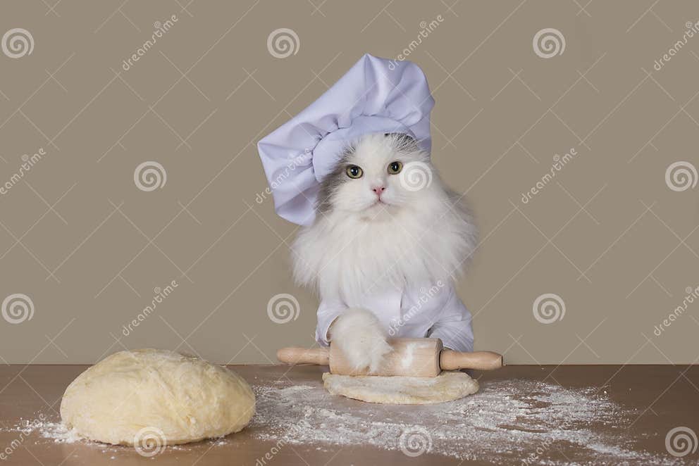 Cat Prepares the Dough for Baking. Stock Image - Image of game, home ...