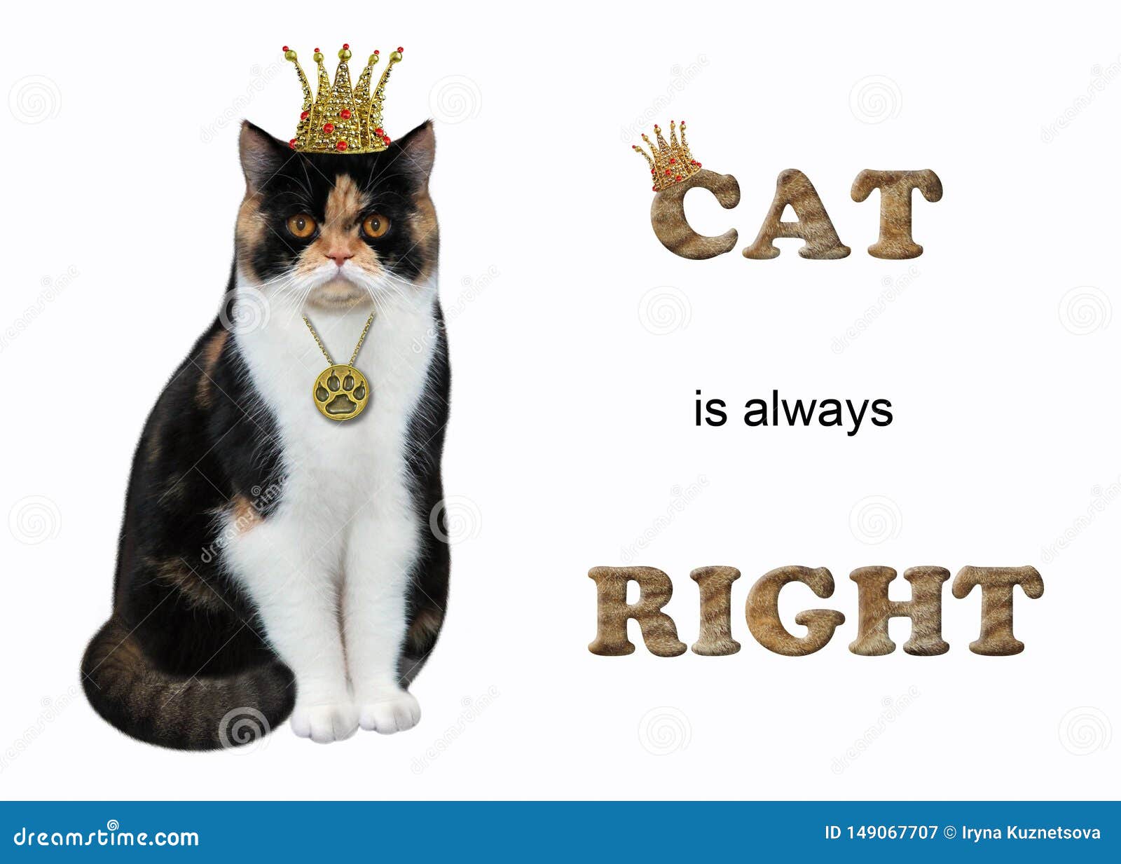 Cat queen is always right stock image. Image of creative - 149067707