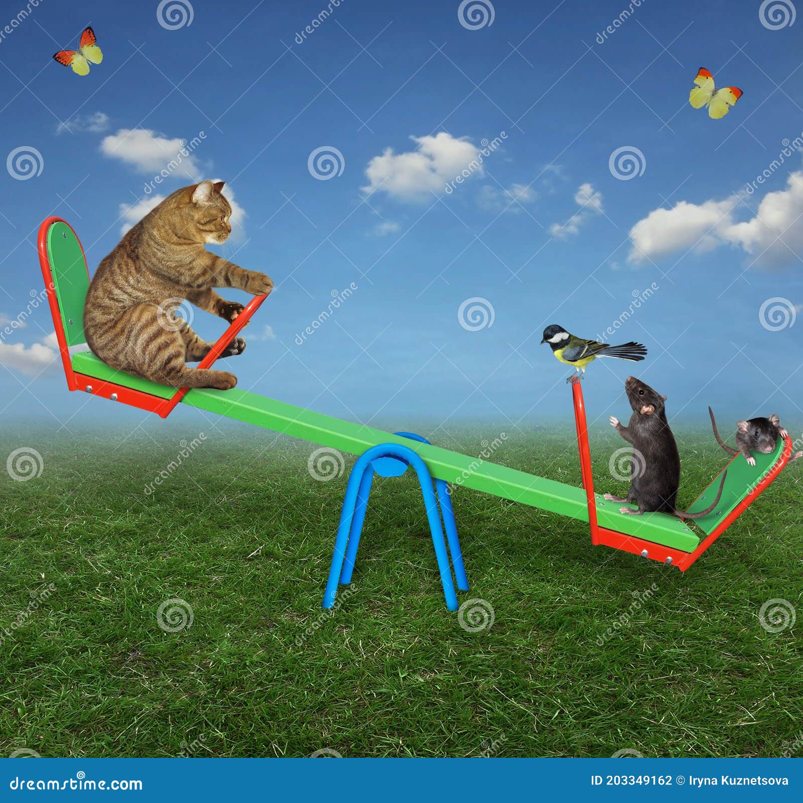Cat with rats on swing stock photo. Image of grassland - 203349162