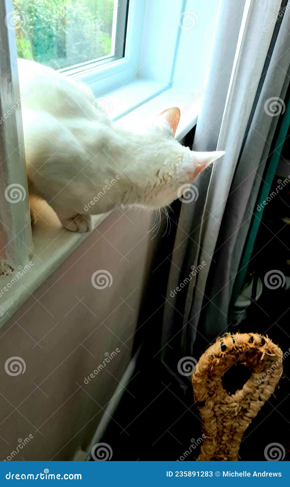 Cat Ready To Pounce Off Ledge Stock Image - Image of ready, textile ...