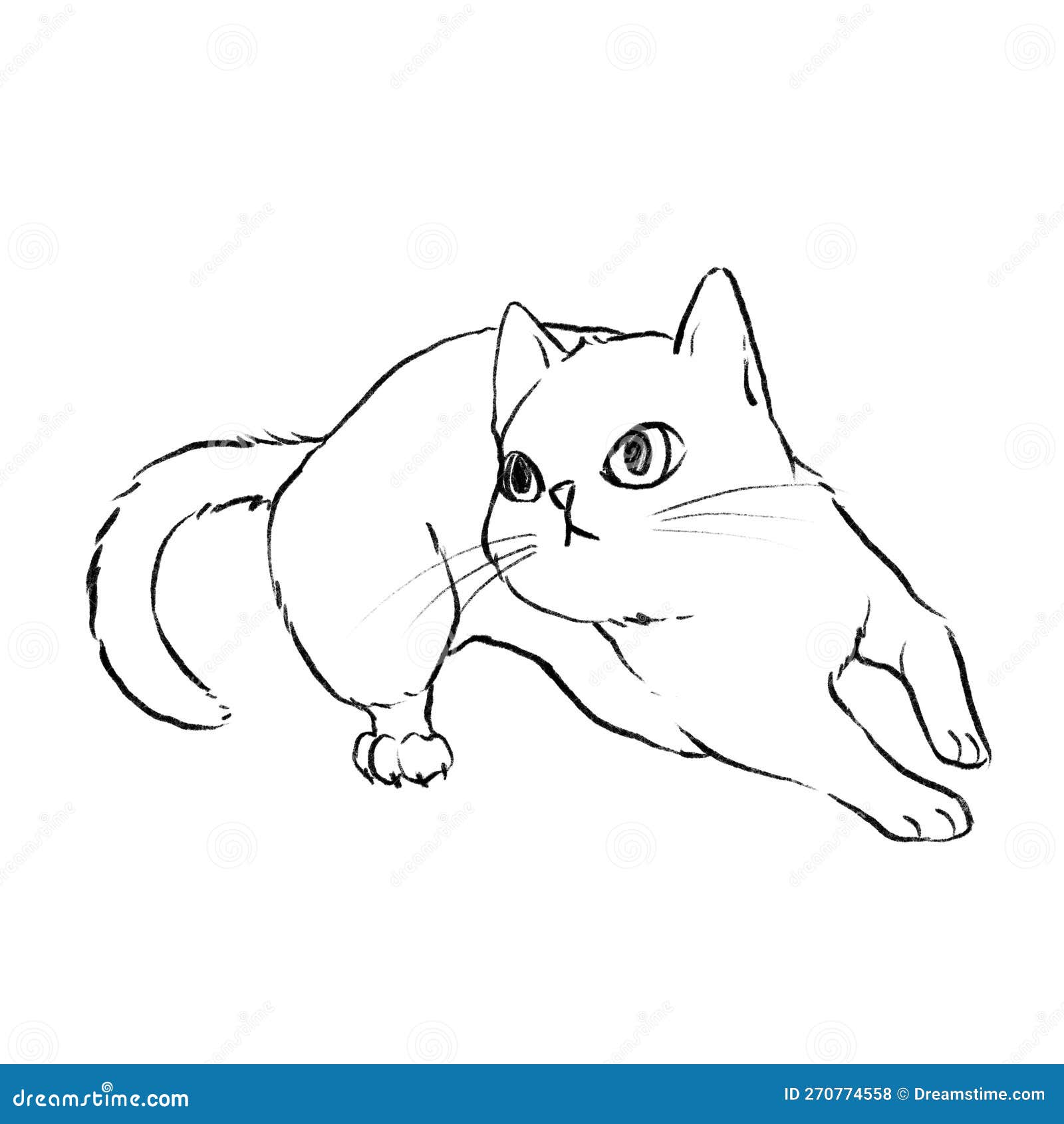 Cat Run Outline Coloring Stock Illustrations – 17 Cat Run Outline ...