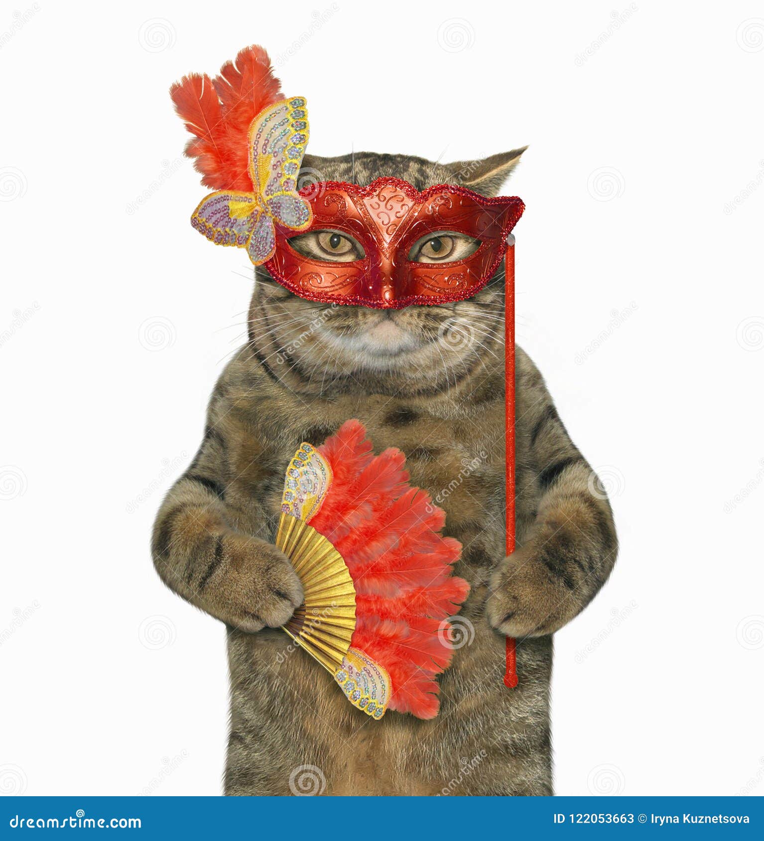 Cat in a masquerade mask 1 stock image. Image of masque - 122053663