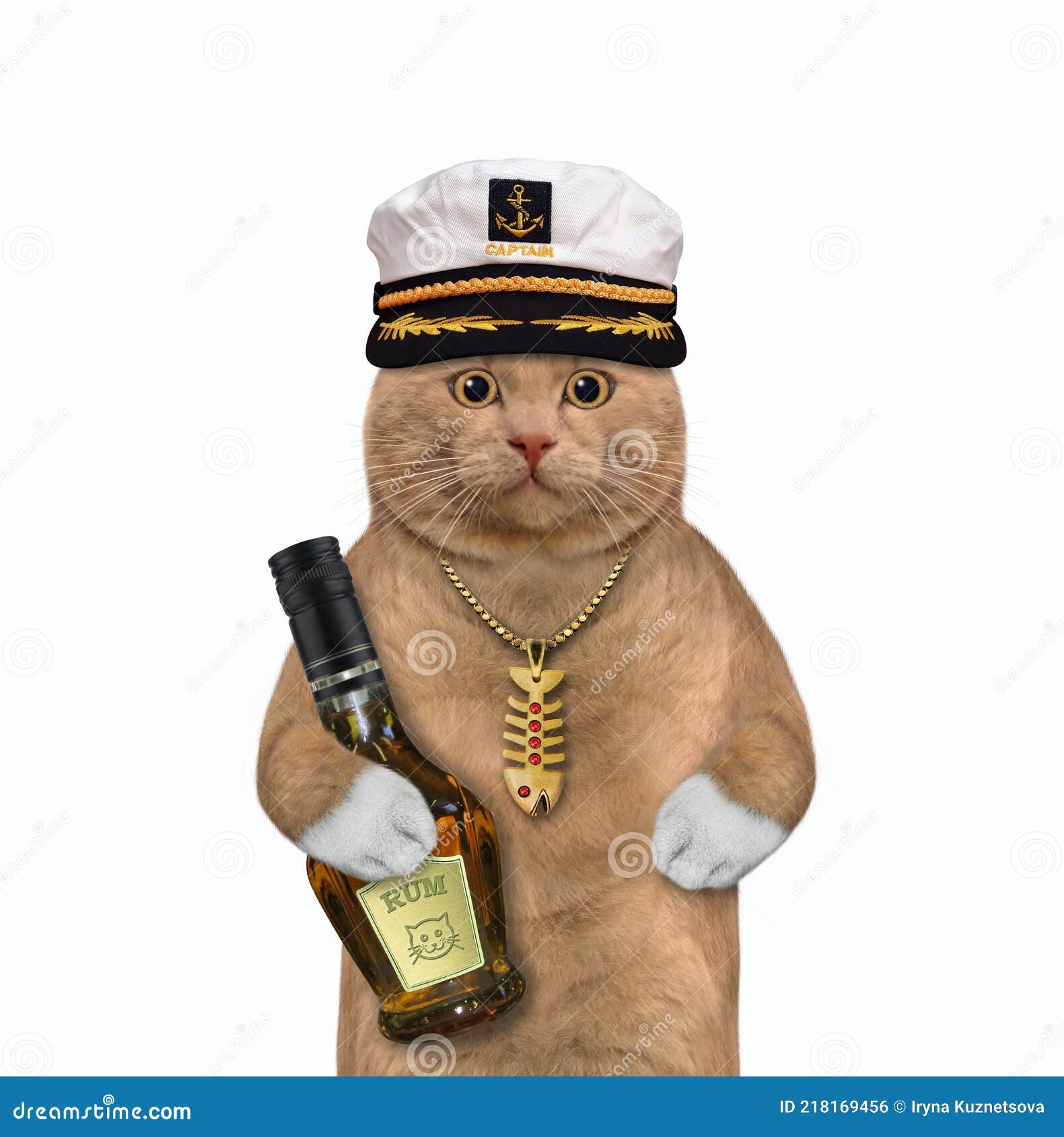 Cat Reddish Captain with Bottle of Rum Stock Photo - Image of white ...