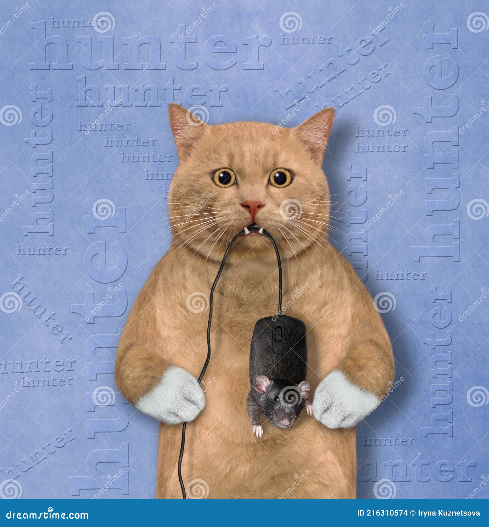 Cat Reddish Caught Computer Mouse 2 Stock Photo - Image of caught, food ...