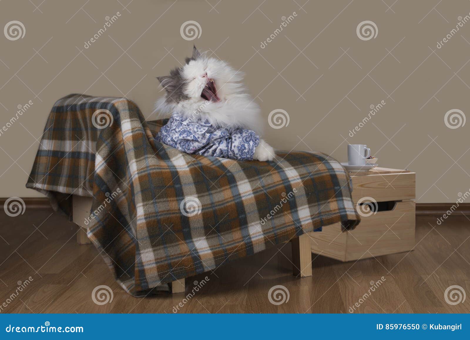 Cat resting on the couch stock photo. Image of mammal - 85976550