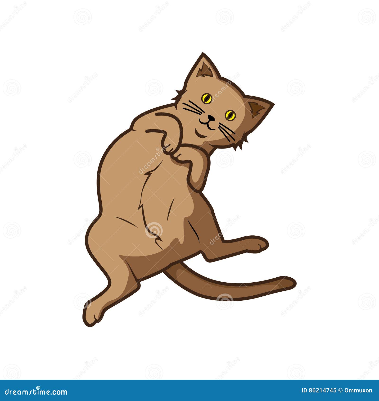 Cat rolling vector stock vector. Illustration of cartoon - 86214745