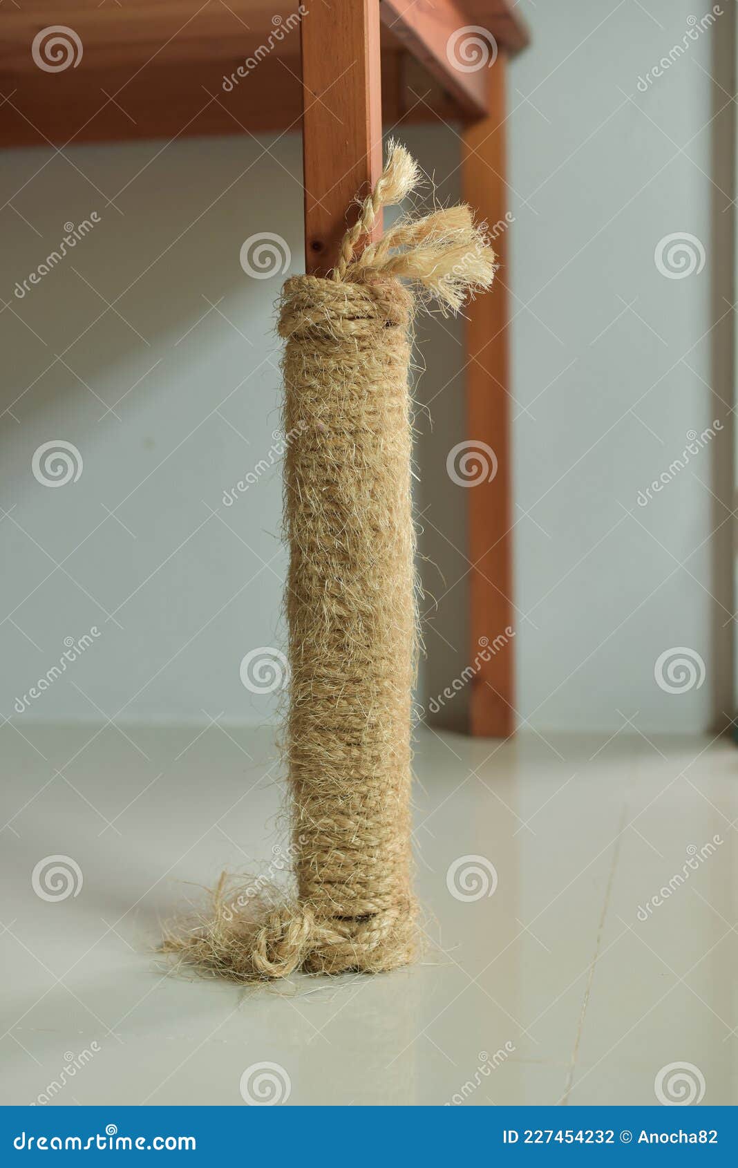 The Cat Rope Scratched Against the Table Leg Stock Photo - Image of ...