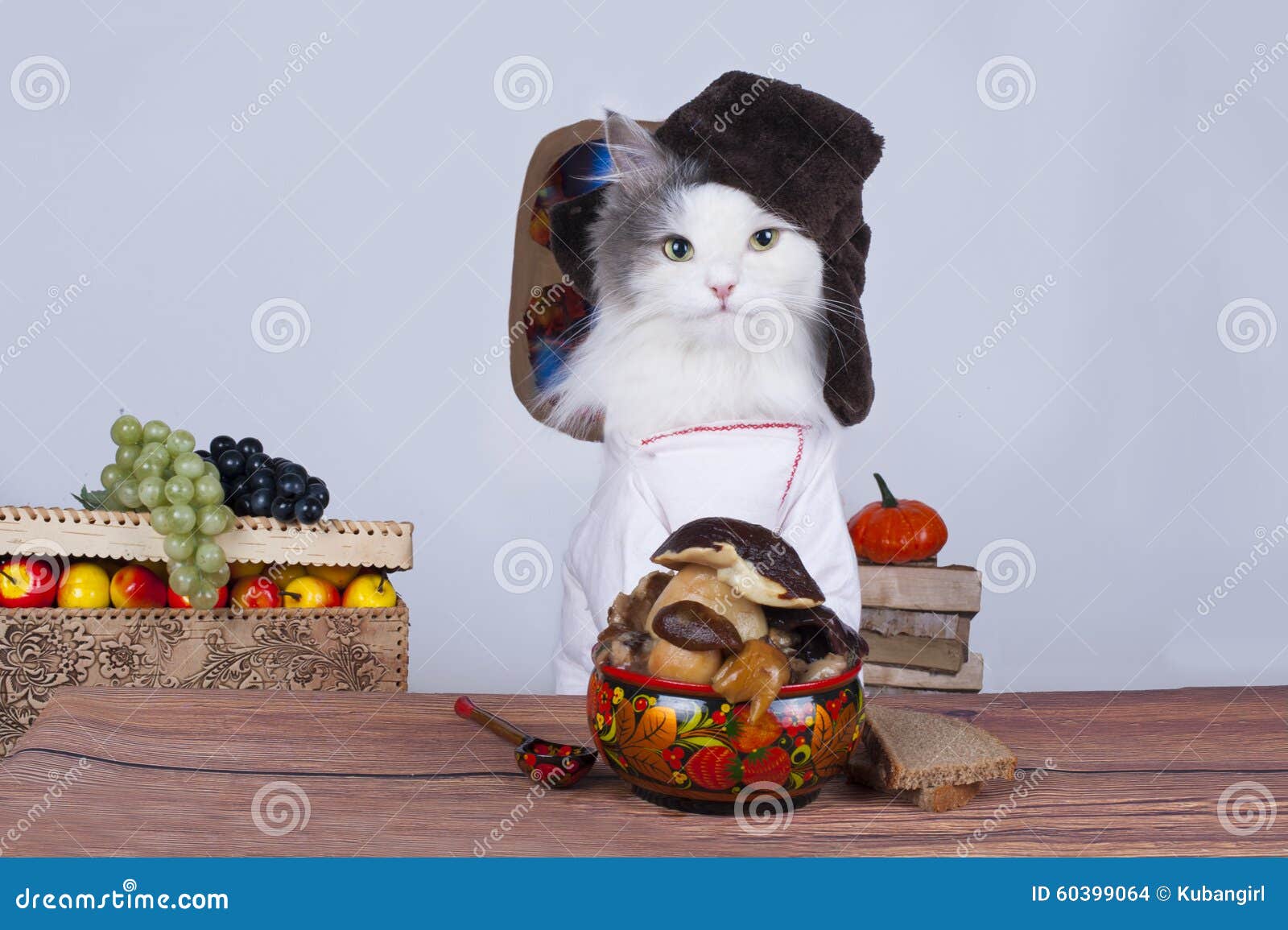 Cat in Russian Hat Eating Marinated Mushrooms Stock Photo - Image of ...