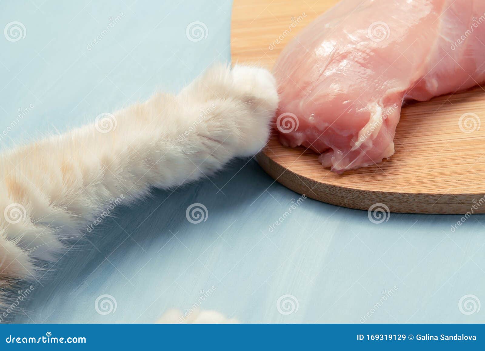 Cat`s Paw Stealing a Piece of Chicken from the Table Stock Image ...