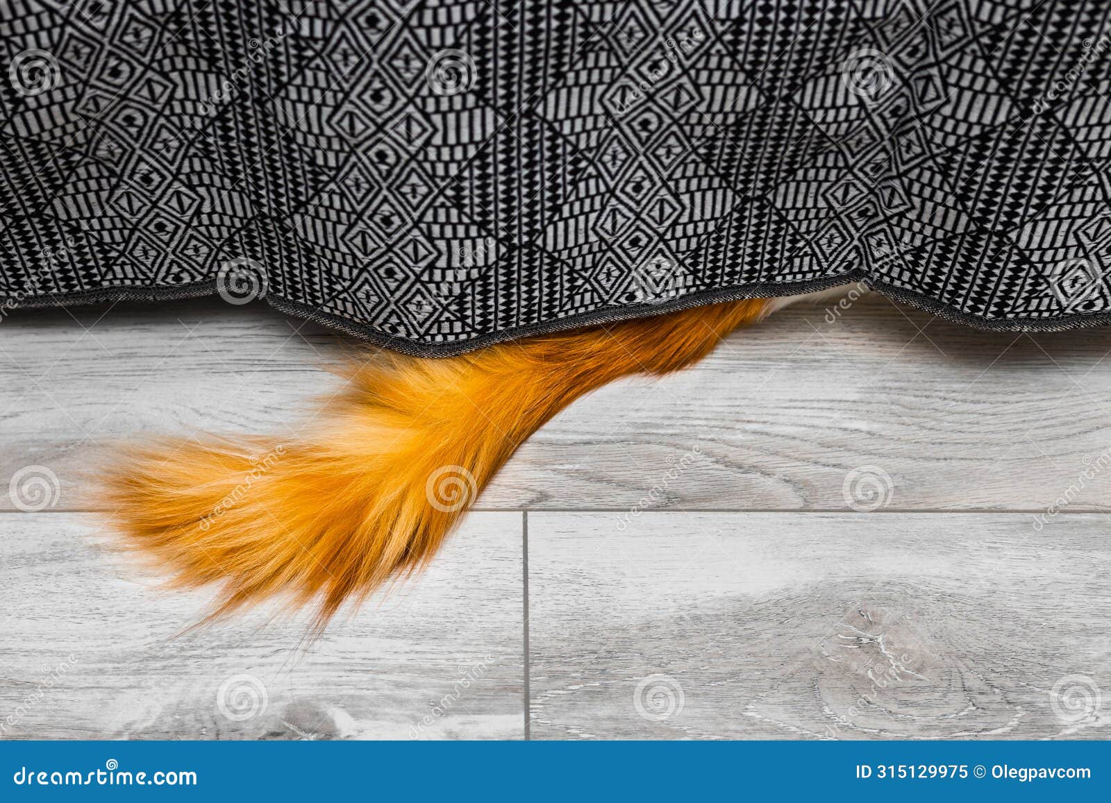 A Cat S Red Tail Sticks Out from Under the Bed Stock Image - Image of ...