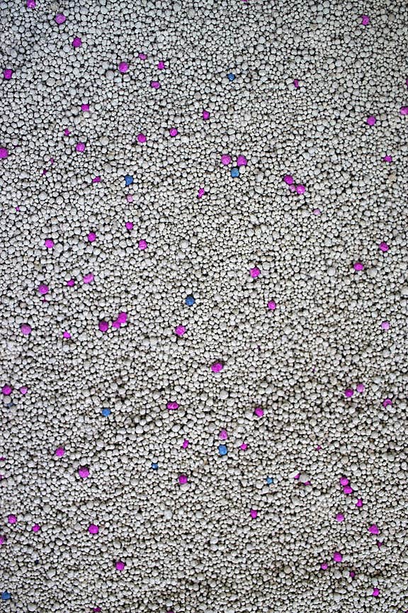 Cat Sand Texture Background, Close Up Shot Stock Photo - Image of ...