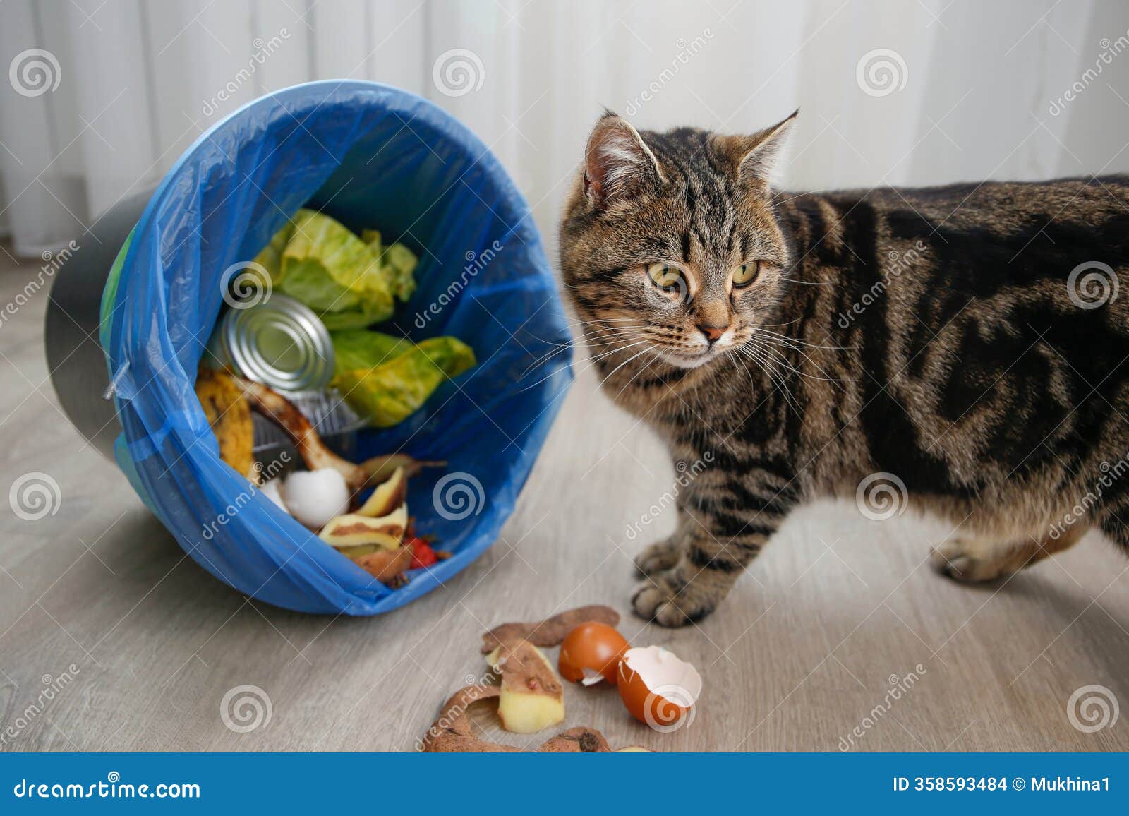 The Cat Scattered the Garbage from the Trash Can on the Floor in the ...