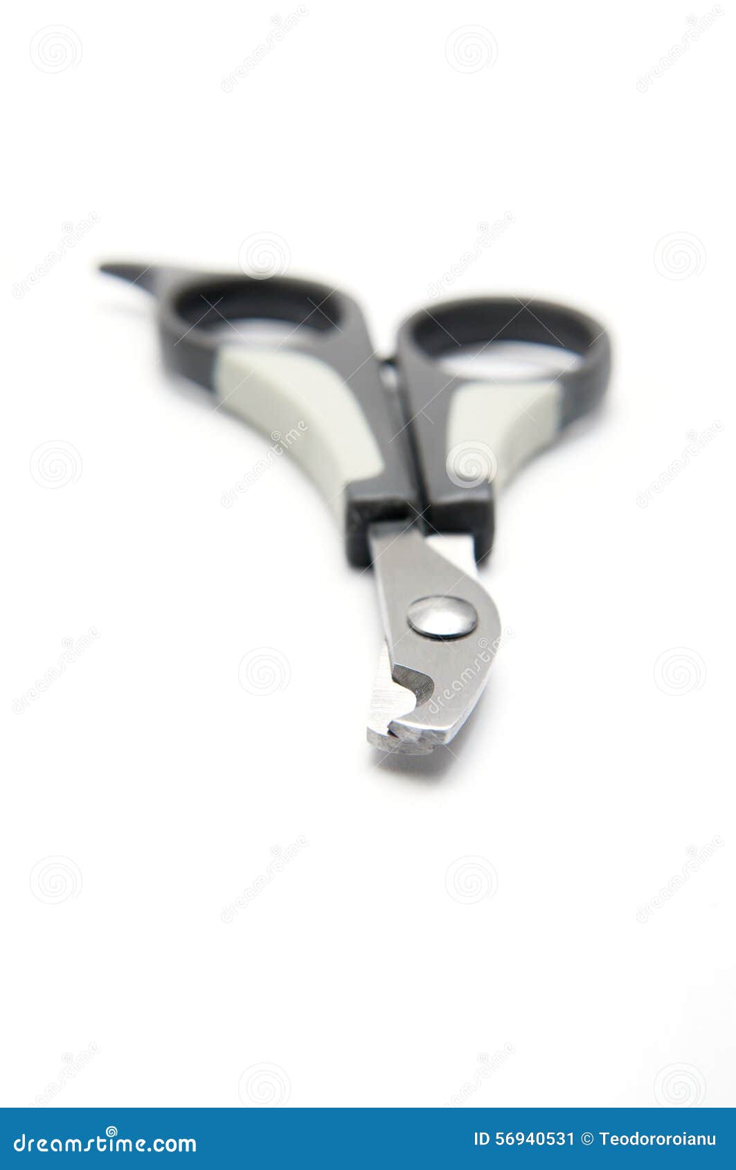 Cat scissors stock image. Image of nails, white, claws - 56940531