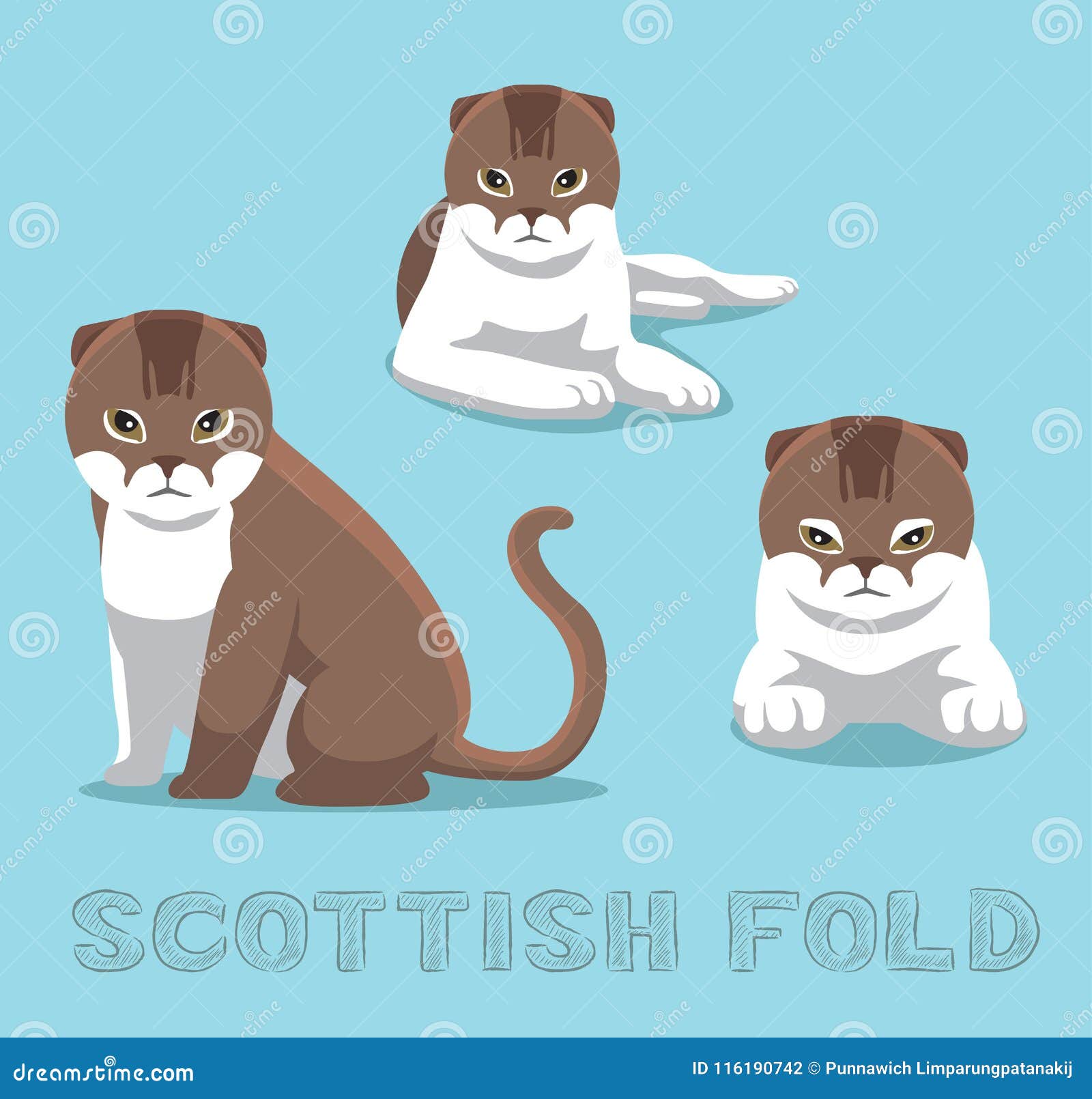Cat Scottish Fold Cartoon Vector Illustration Stock Vector ...