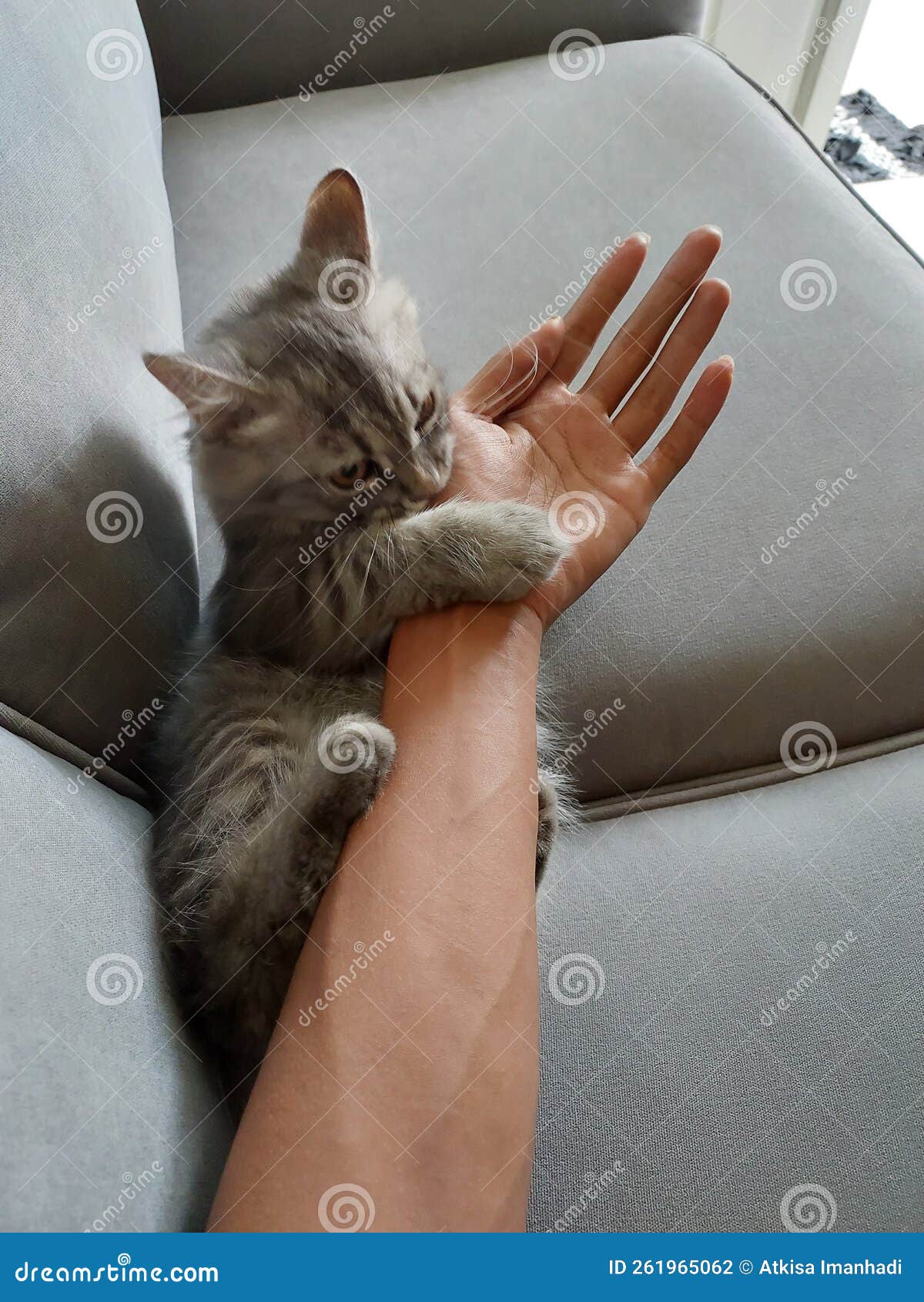 A Scratch On The Human Body. Scar Close-up. A Deep Cut On The Body ...