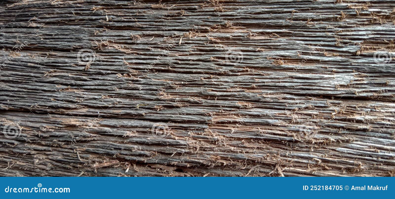 Cat scratch wood texture stock image. Image of plank - 252184705