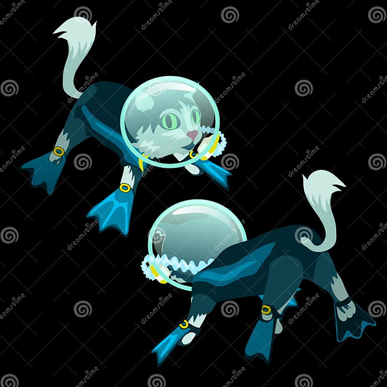 Cat Scuba Diving in Front and Back Side Stock Vector - Illustration of ...
