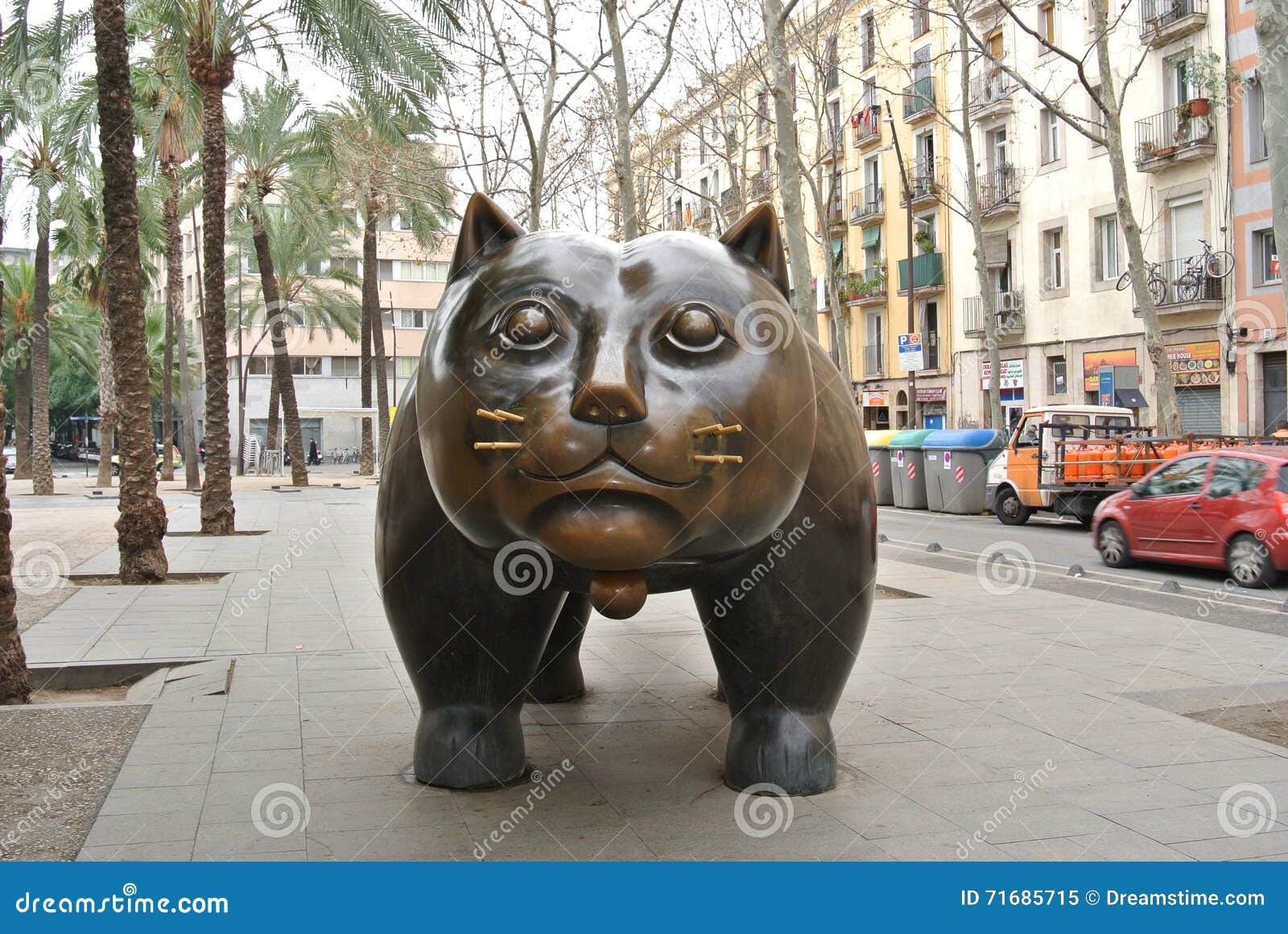 Cat editorial image. Image of winter, warm, barcelona - 71685715