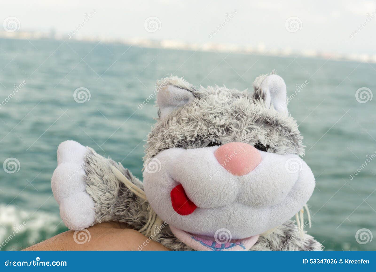 Cat and sea stock photo. Image of sunlight, cats, ship - 53347026