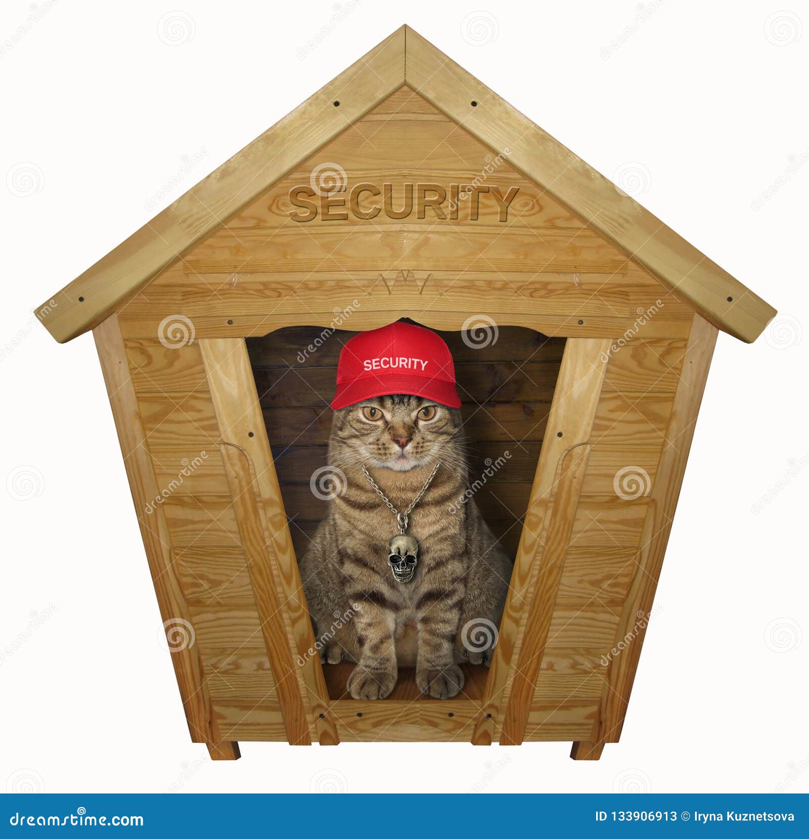Cat in the Security Booth 2 Stock Image - Image of house, kiosk: 133906913