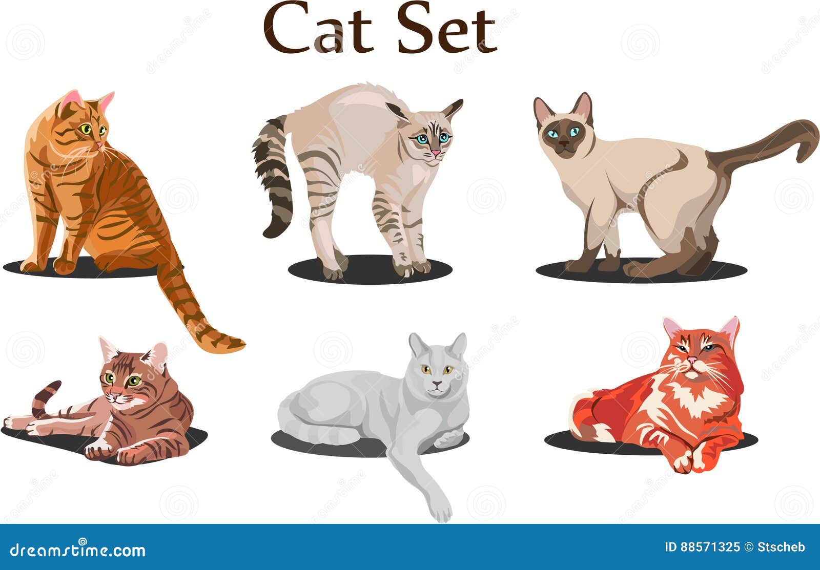 Cat Set stock vector. Illustration of drawing, kitty - 88571325