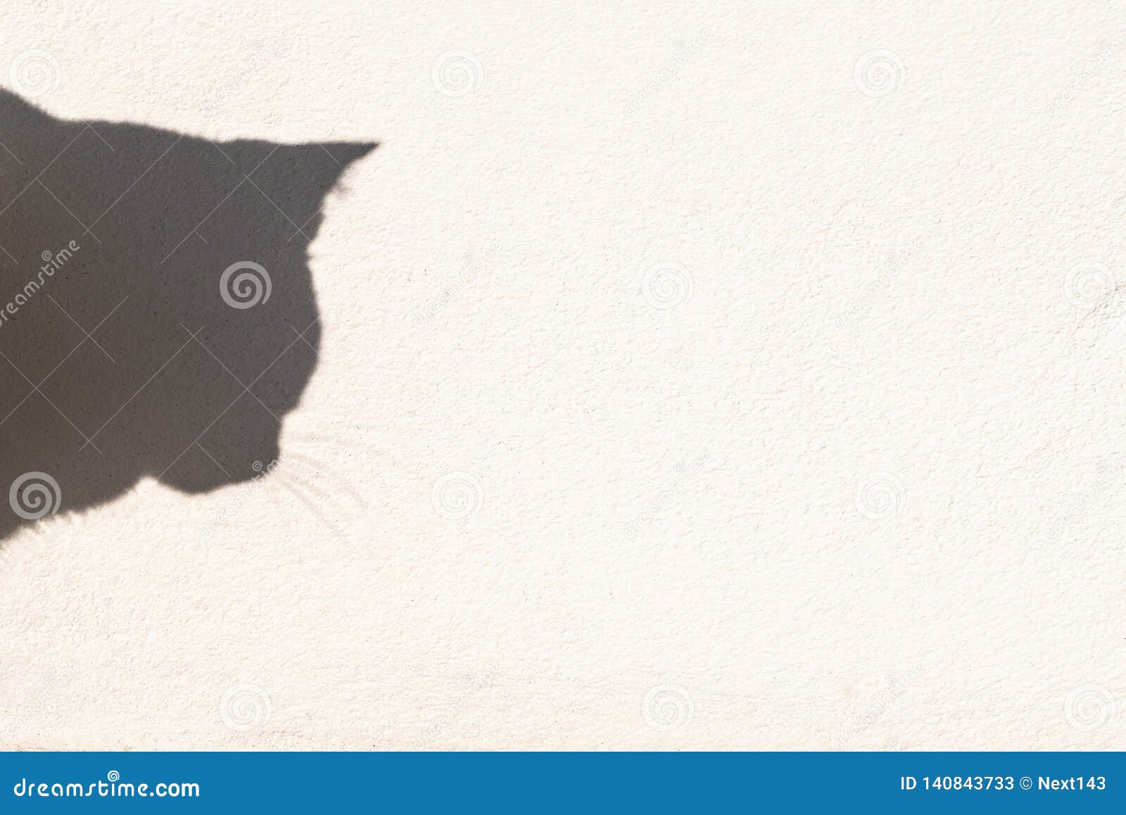 Cat Shadow Projected on the White Wall Stock Image - Image of backdrop ...