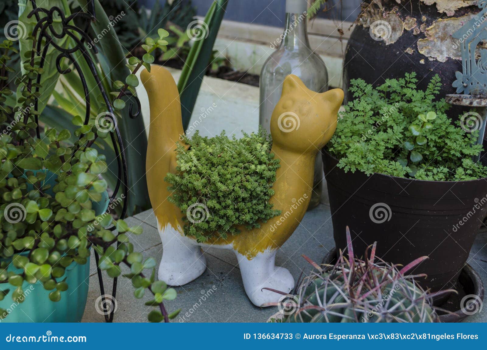 Cat Shape Pot at the Garden Stock Image - Image of grass, flower: 136634733
