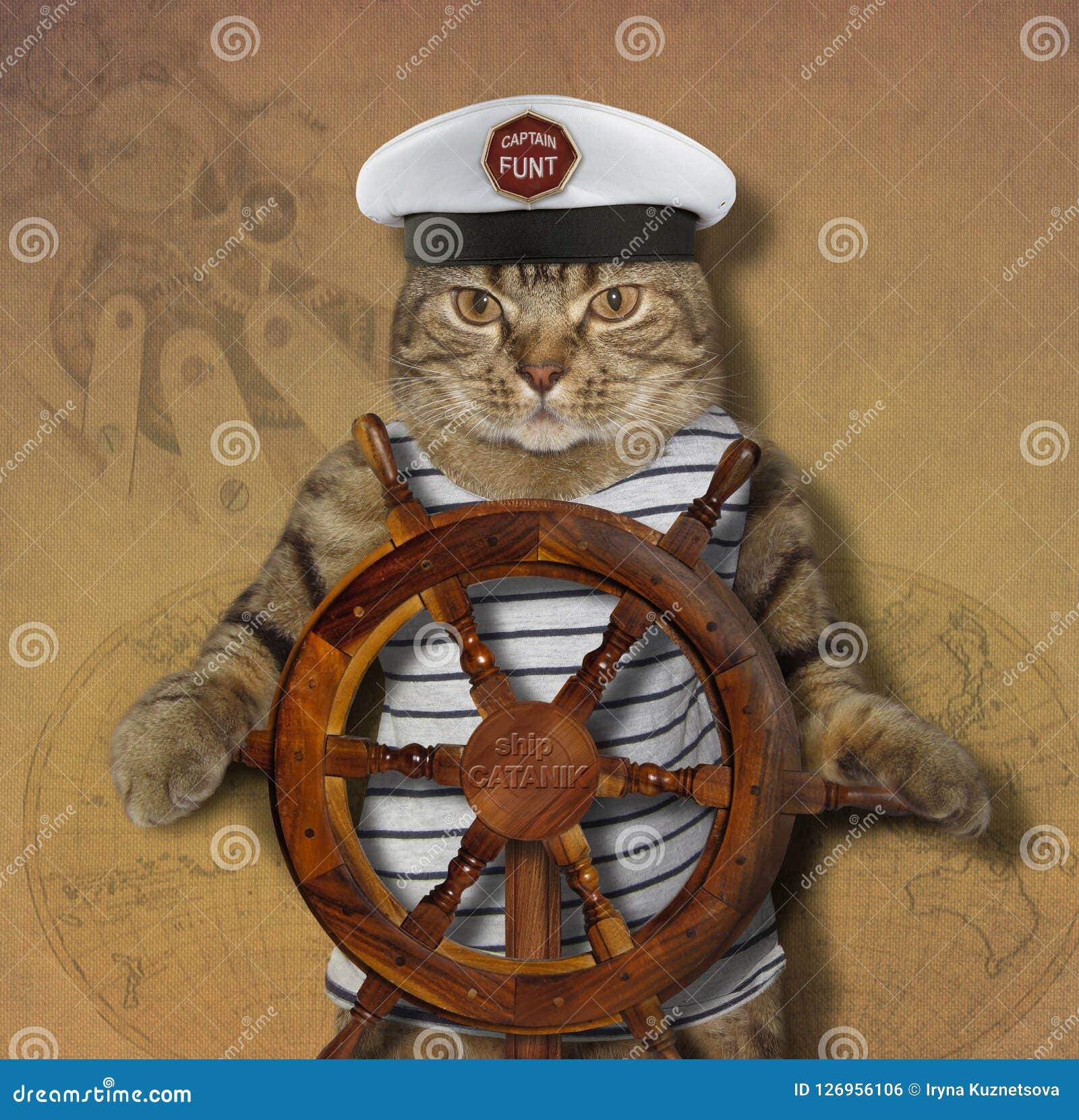 The cat is a ship captain. stock photo. Image of helm - 126956106