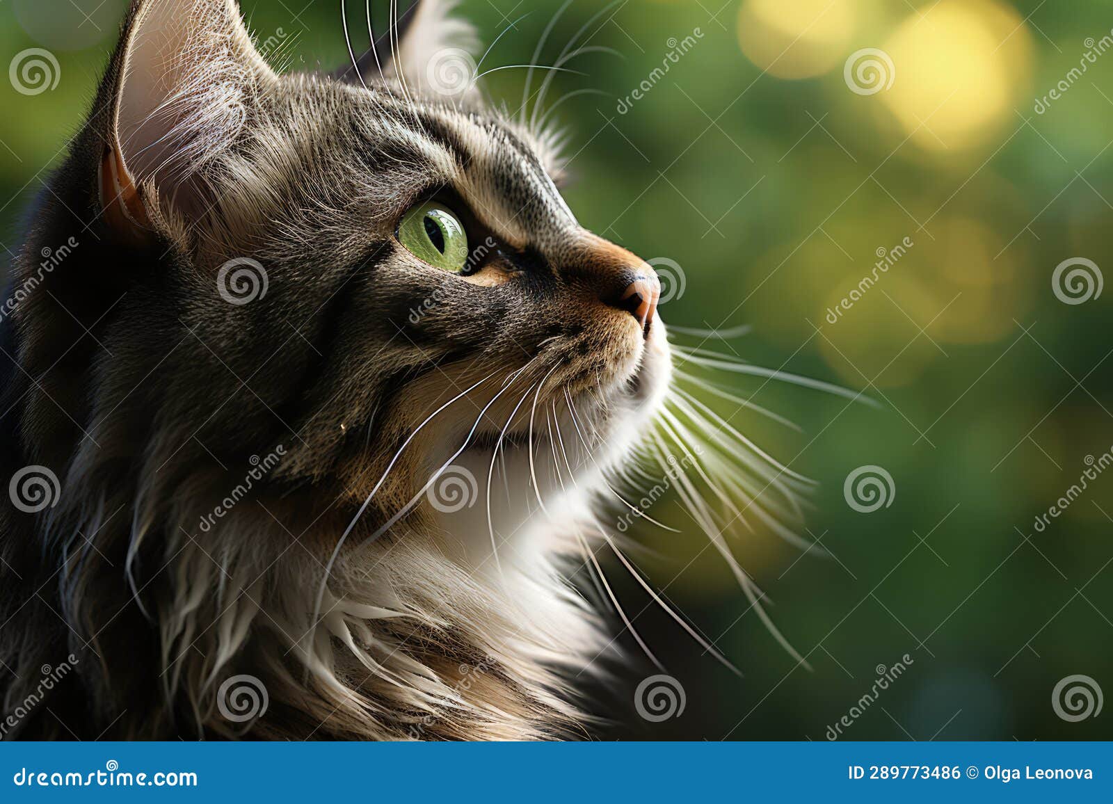 Cat in shock stock illustration. Illustration of generative - 289773486