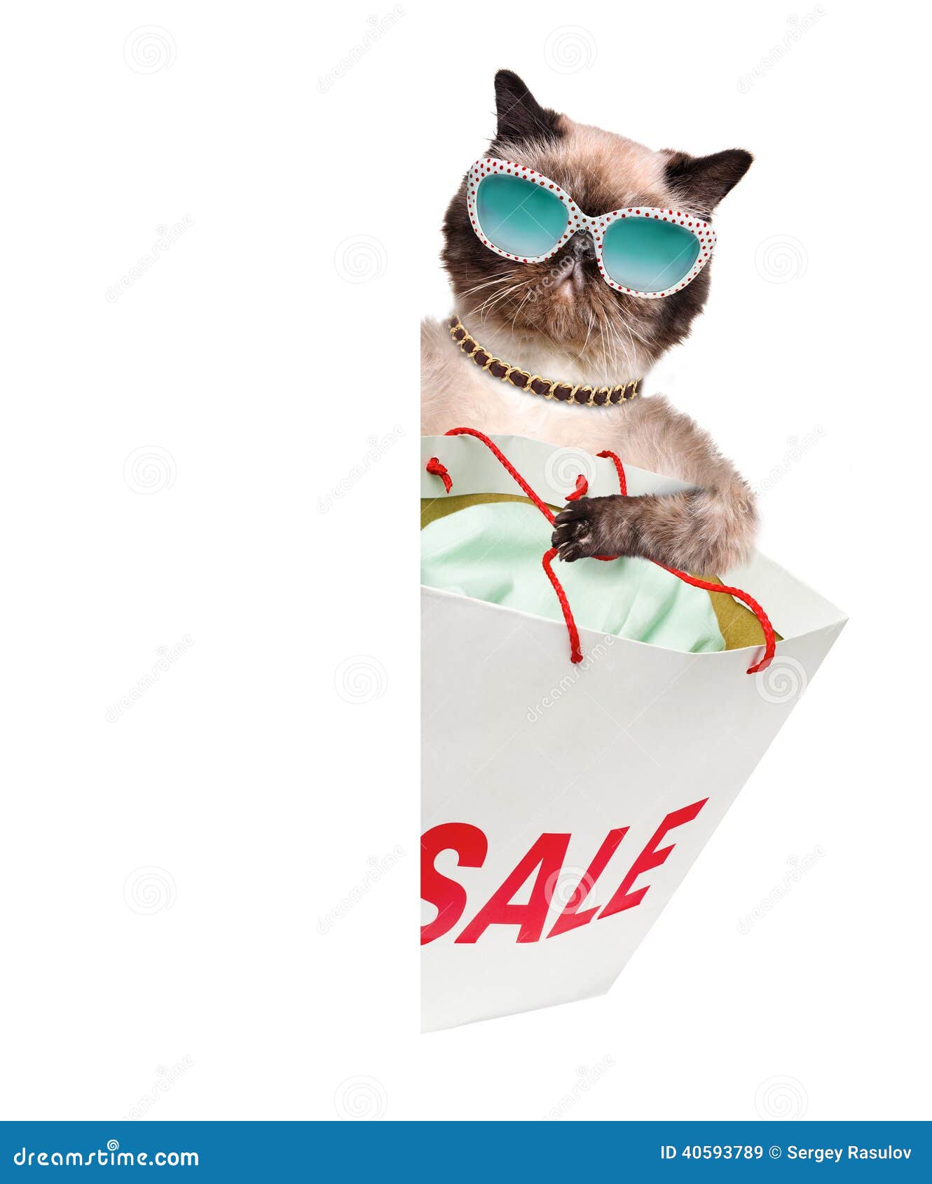 Cat. Shopper. Sales. stock image. Image of birthday, store - 40593789